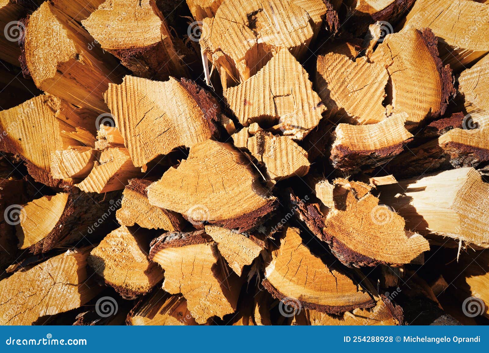 Details of Firewood for Fire Cut and Stacked Stock Photo - Image of ...