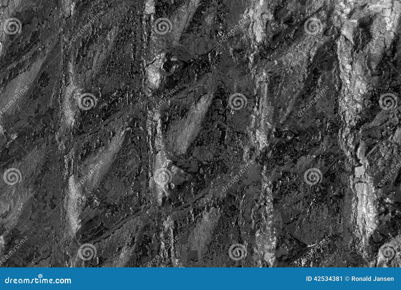 Details of Fossilized Plants on Coal Stock Image - Image of prehistory ...