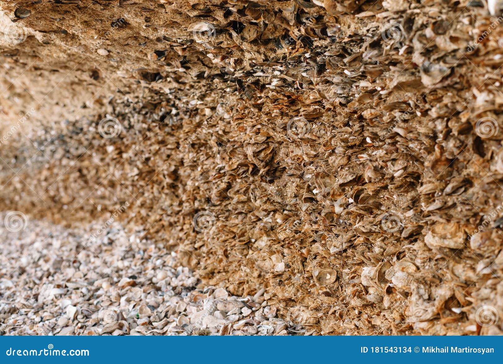 Details of the Geological Formation of Layers on the Seashore. the ...