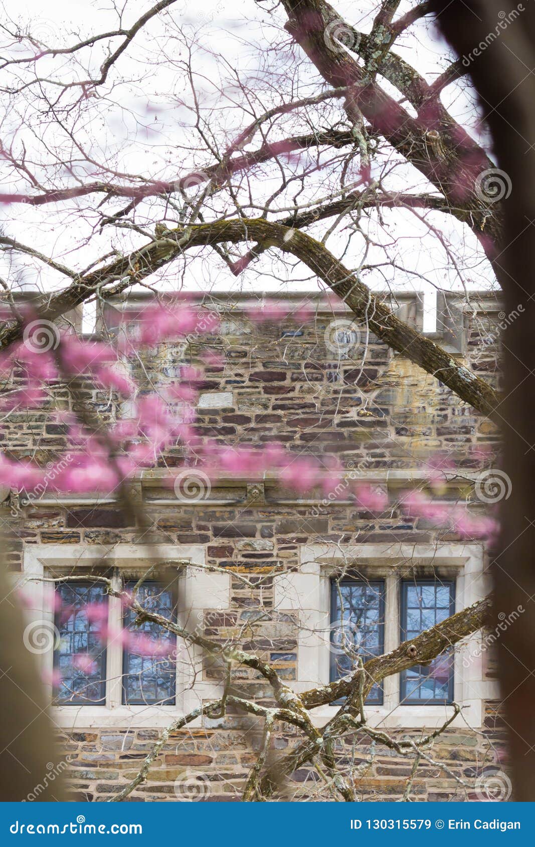 Gothic Architecture Details Stock Image - Image of vertical, structure ...