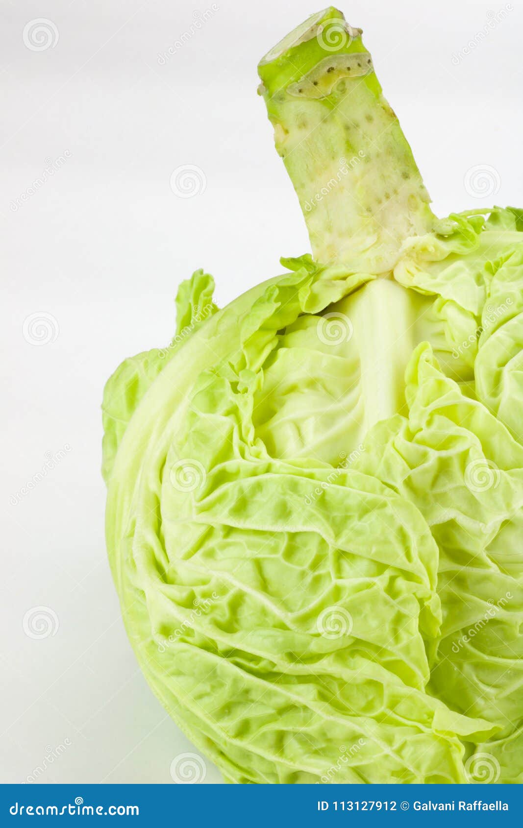 Details of Green Cabbage with Stem on White Background Stock Photo ...