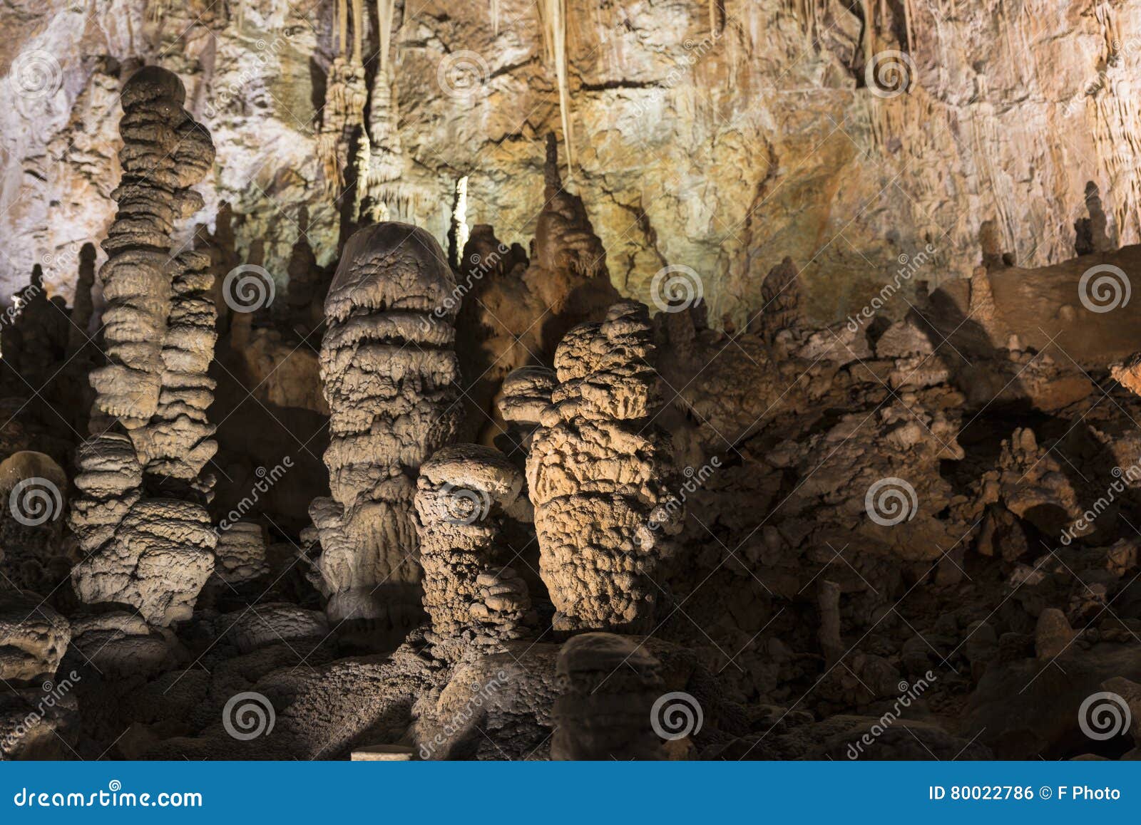 Details of the Grotta Gigante in Trieste Stock Photo - Image of europe ...