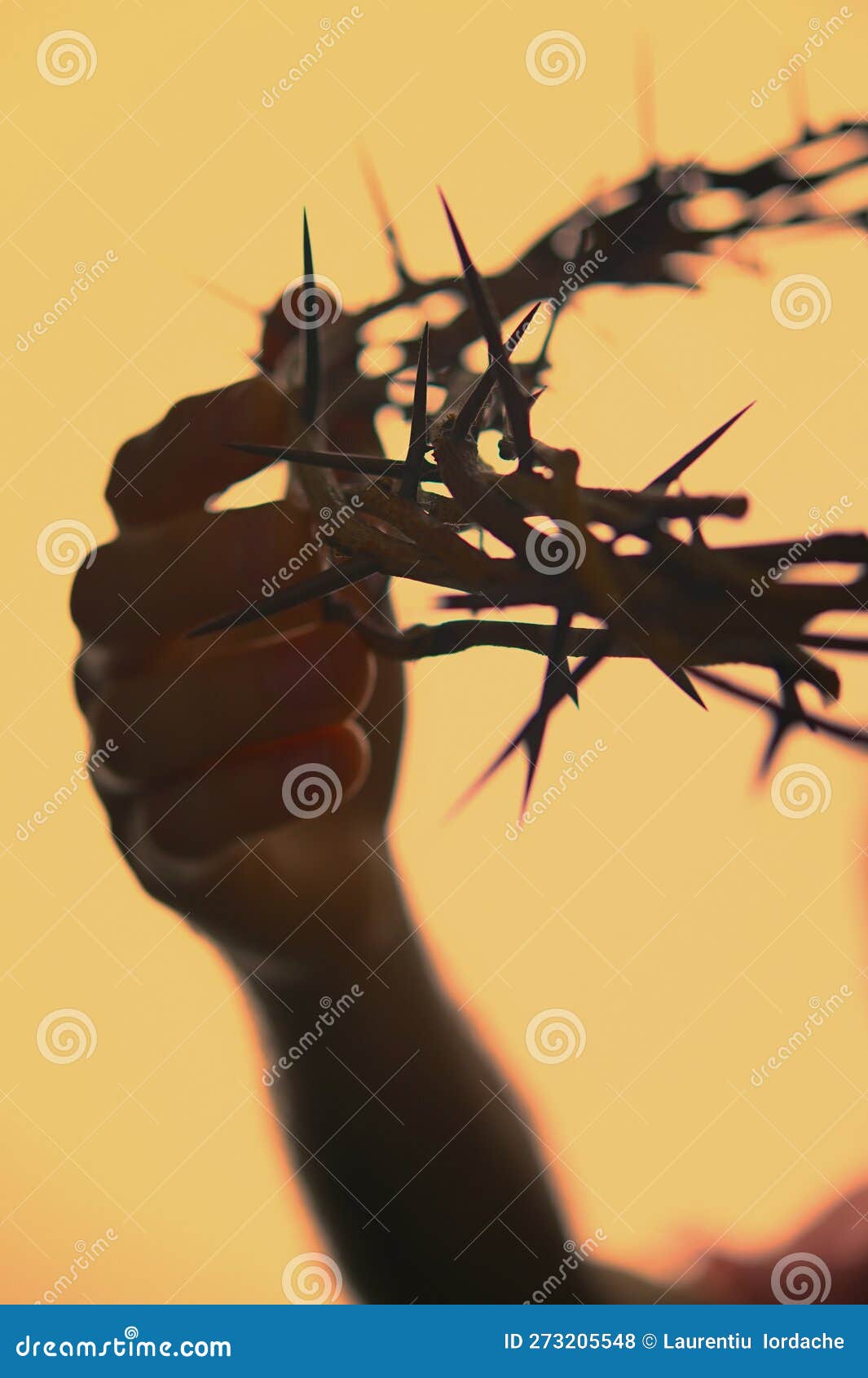 Hand With Thorns Holding A Pink Rose. Minimal Creative Concept Art ...