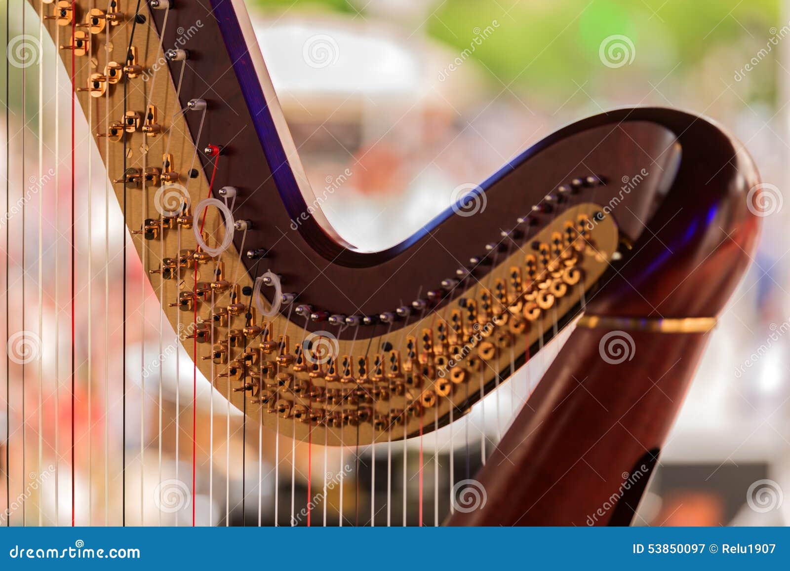 Details of harp stock image. Image of chord, arfa, melody - 53850097
