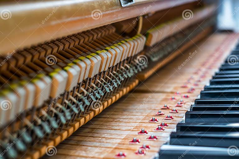 Details Inside of the Piano with Keyboards and Piano-string Stock Image ...