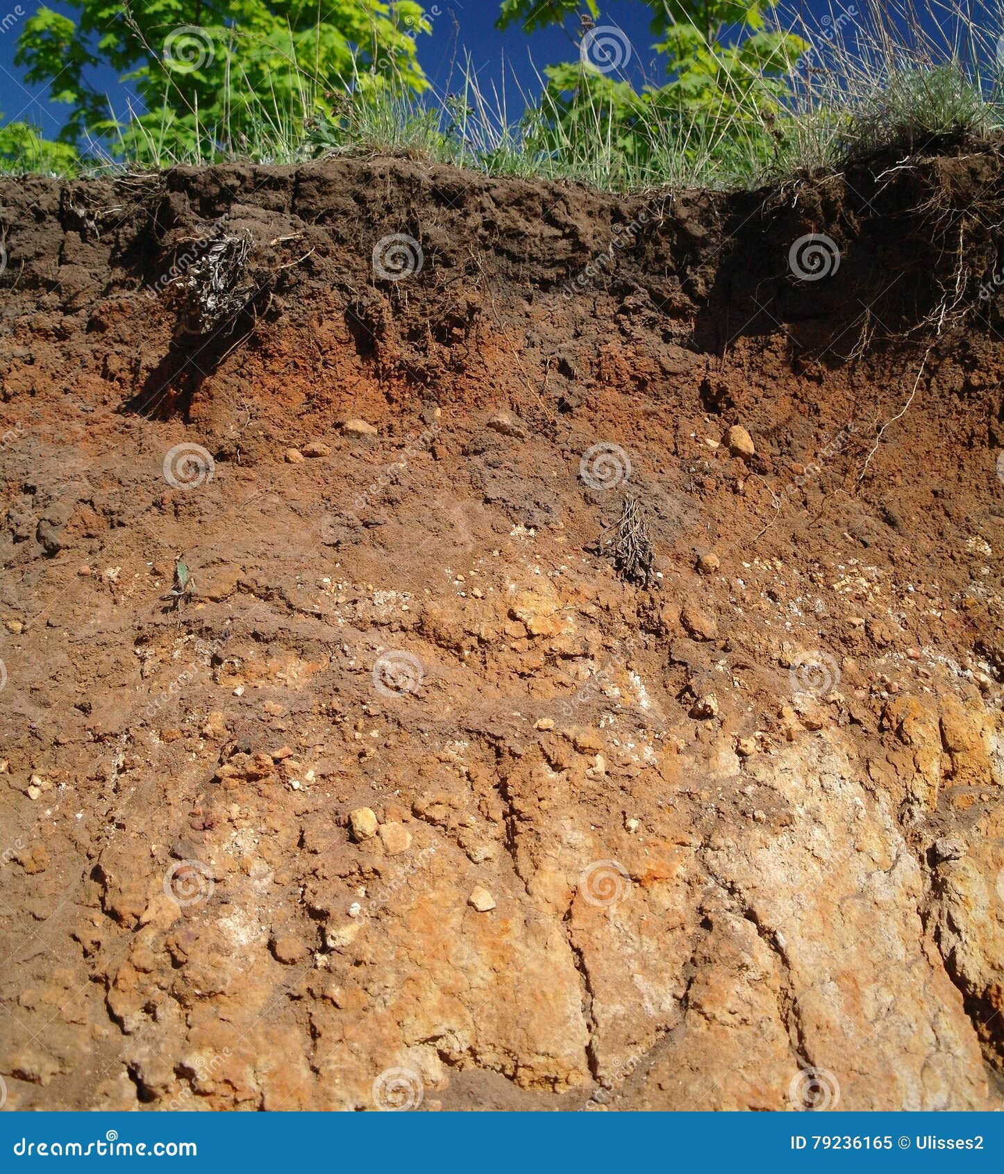Details of Layers of Soil Under Ground Stock Image - Image of layer ...