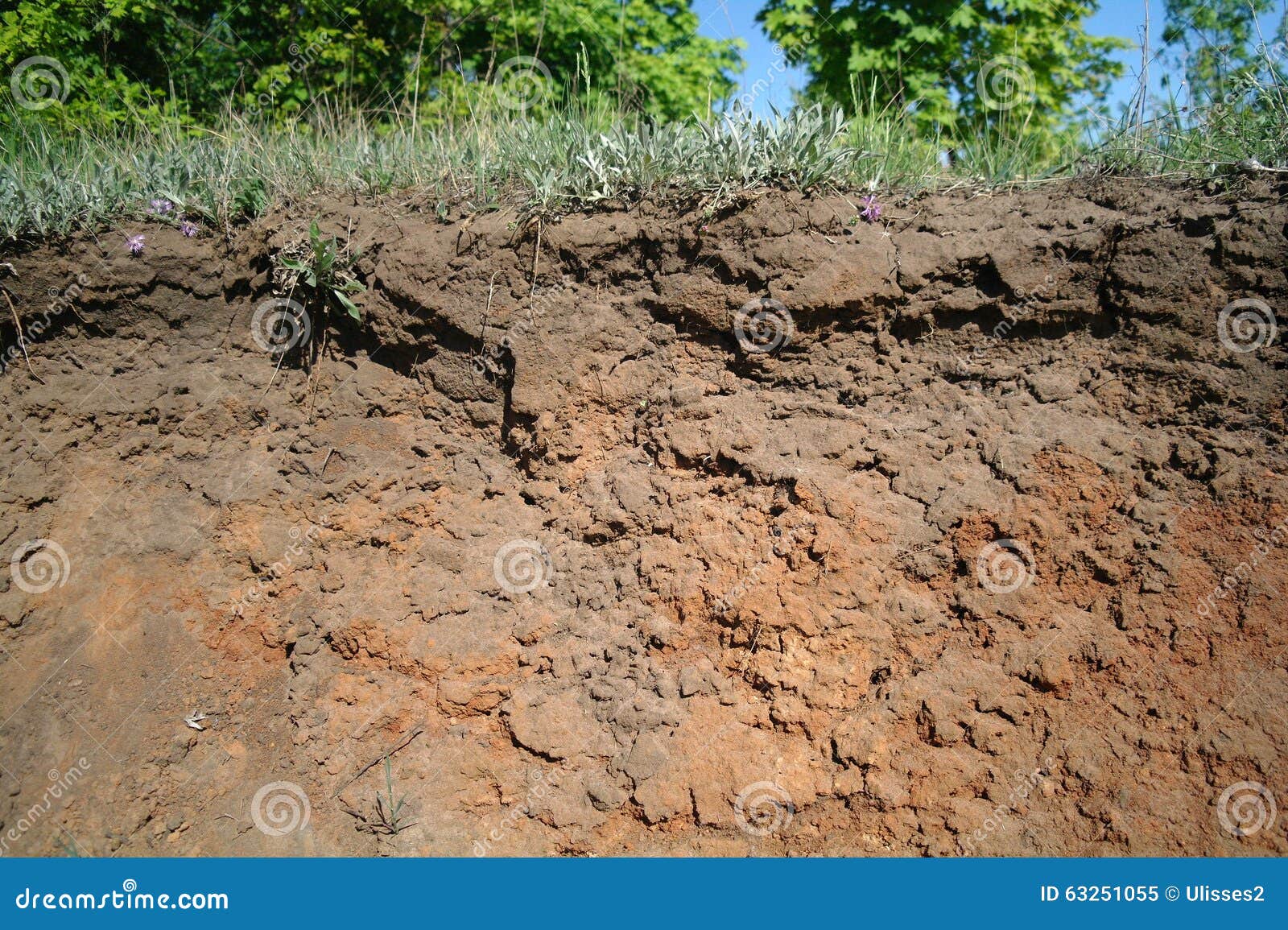 Details of Layers of Soil Under Ground Surface Stock Image - Image of ...