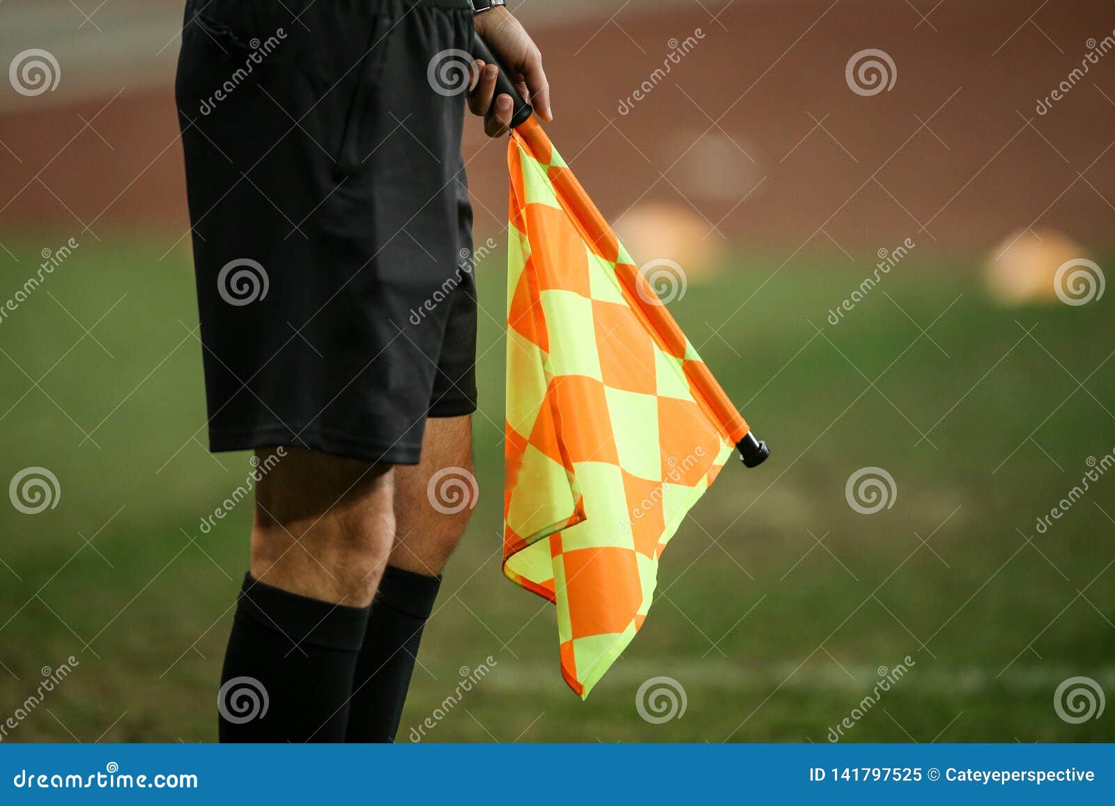 Details of a Linesman Referee Stock Image - Image of judge, offside ...