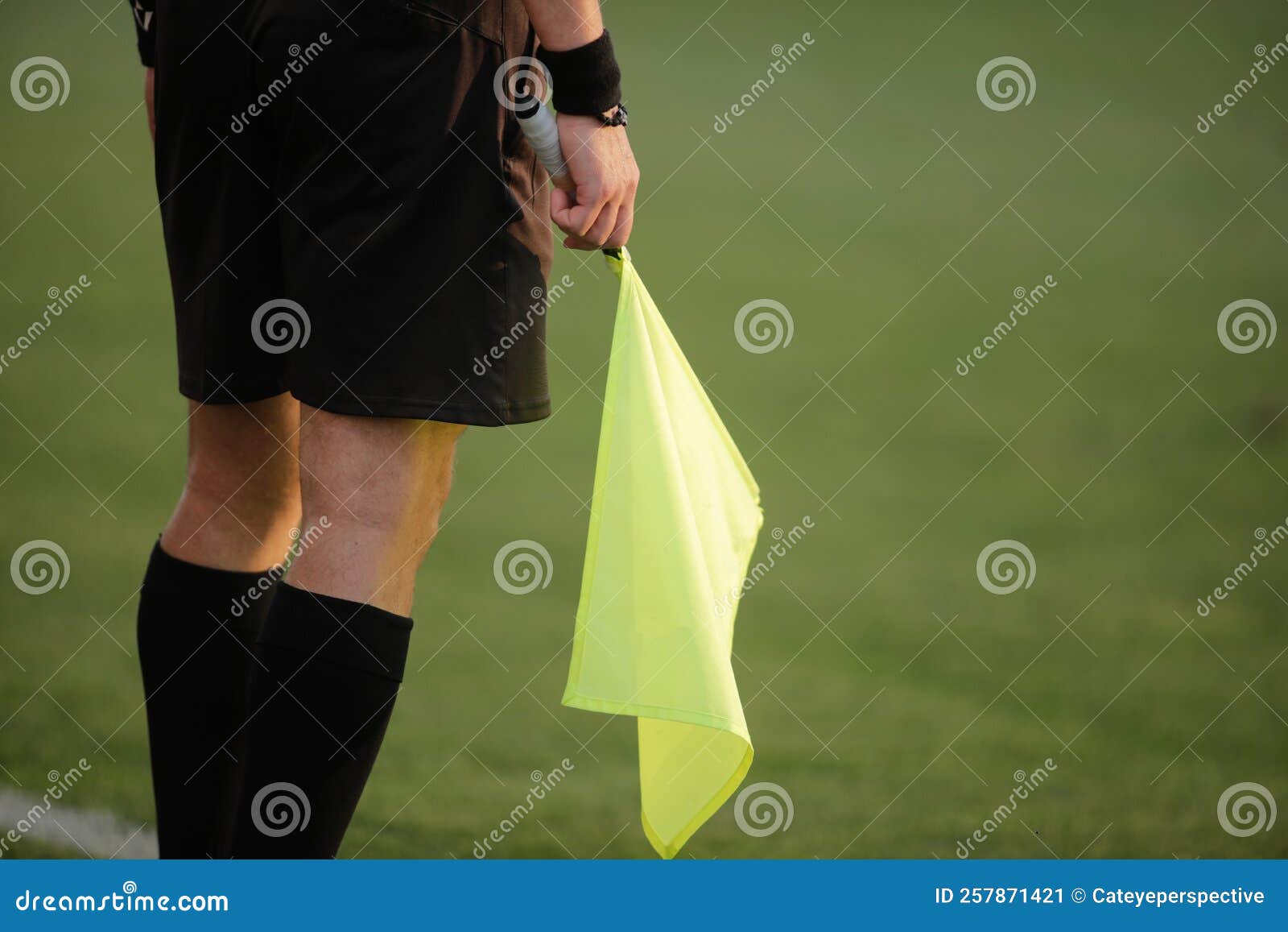 Details of a Linesman Referee during a Soccer Game Stock Image - Image ...
