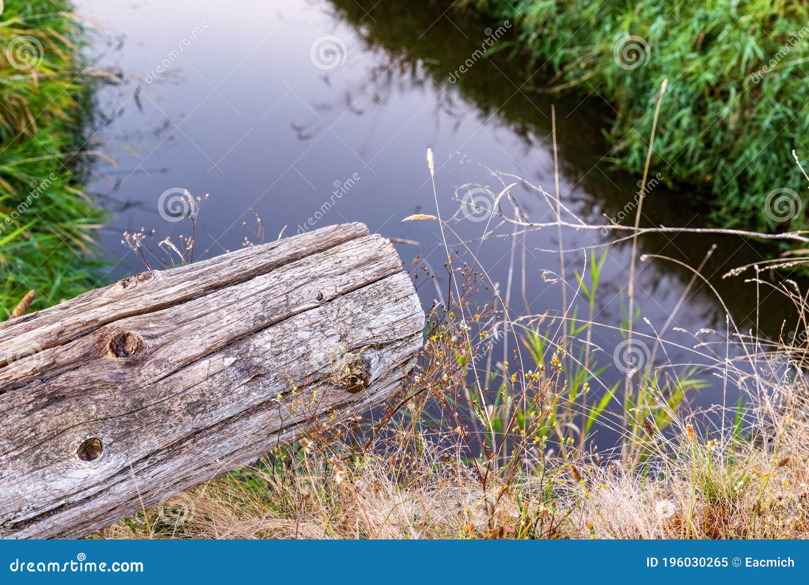 Log Hanging Over Edge of Stream Stock Image - Image of hanging ...