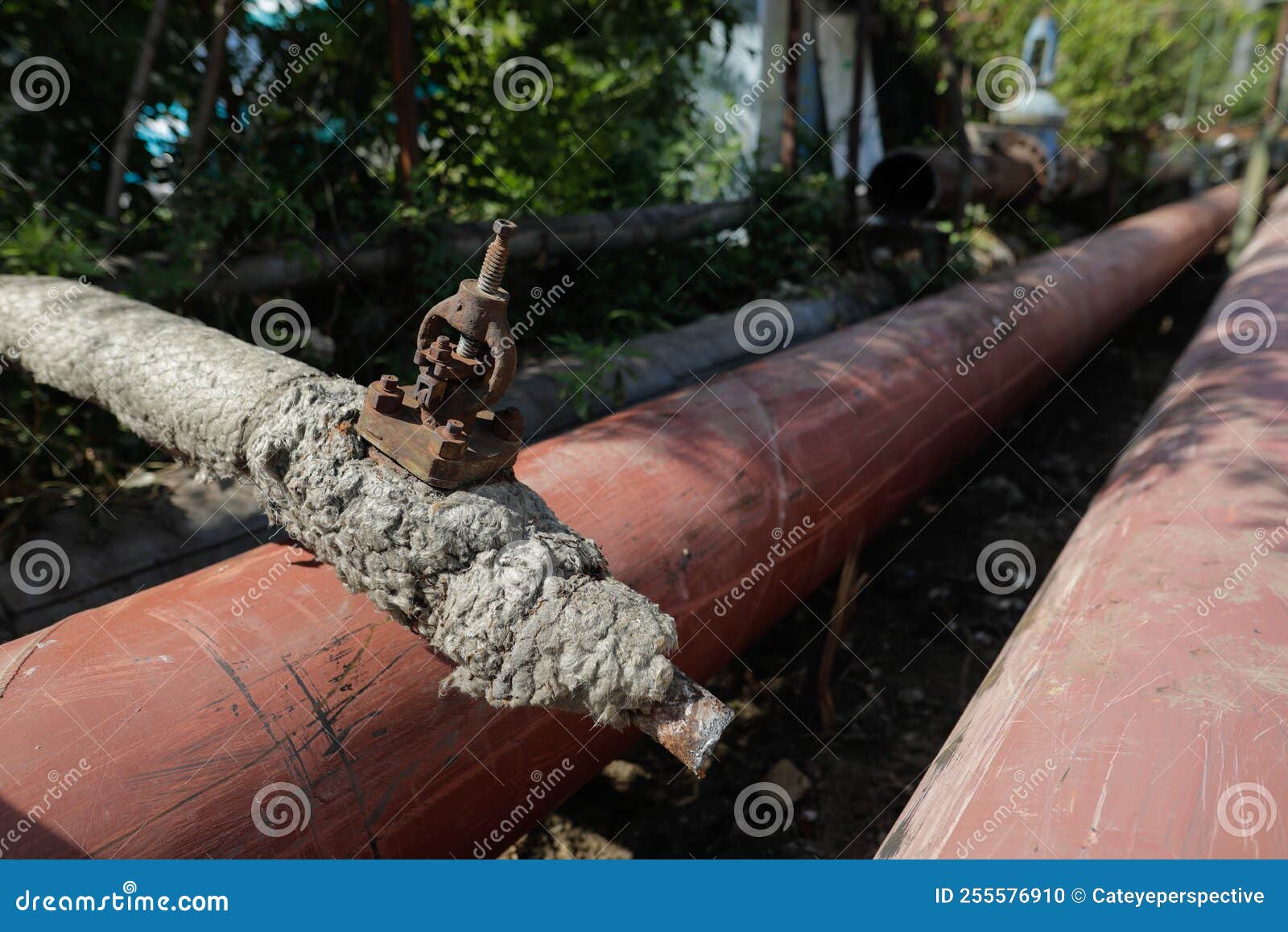 Details with Old and Rusty Pipelines at a Romanian Abandoned Power ...