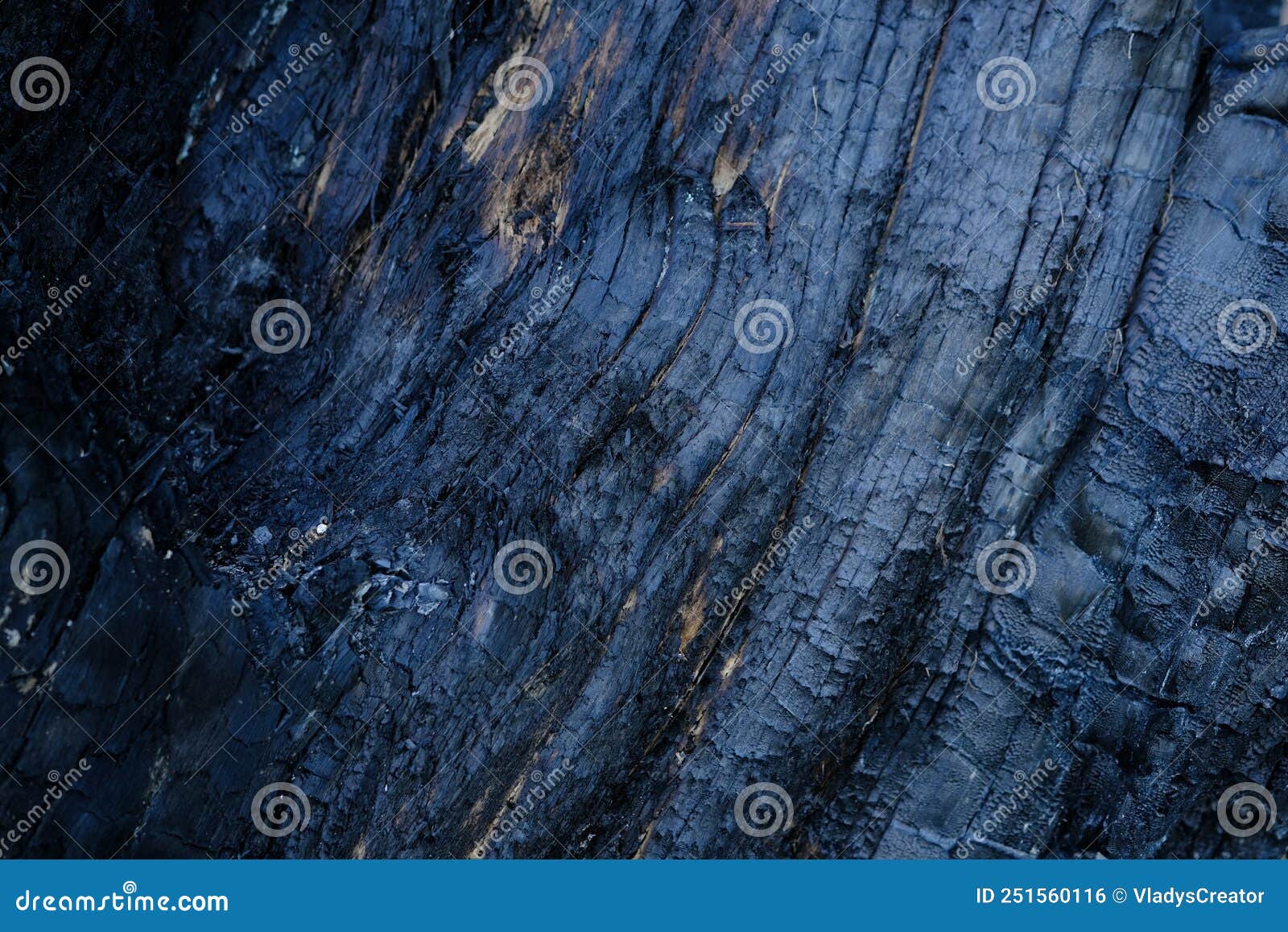 Details Patterned Surface Texture of the Wood Stock Photo - Image of ...