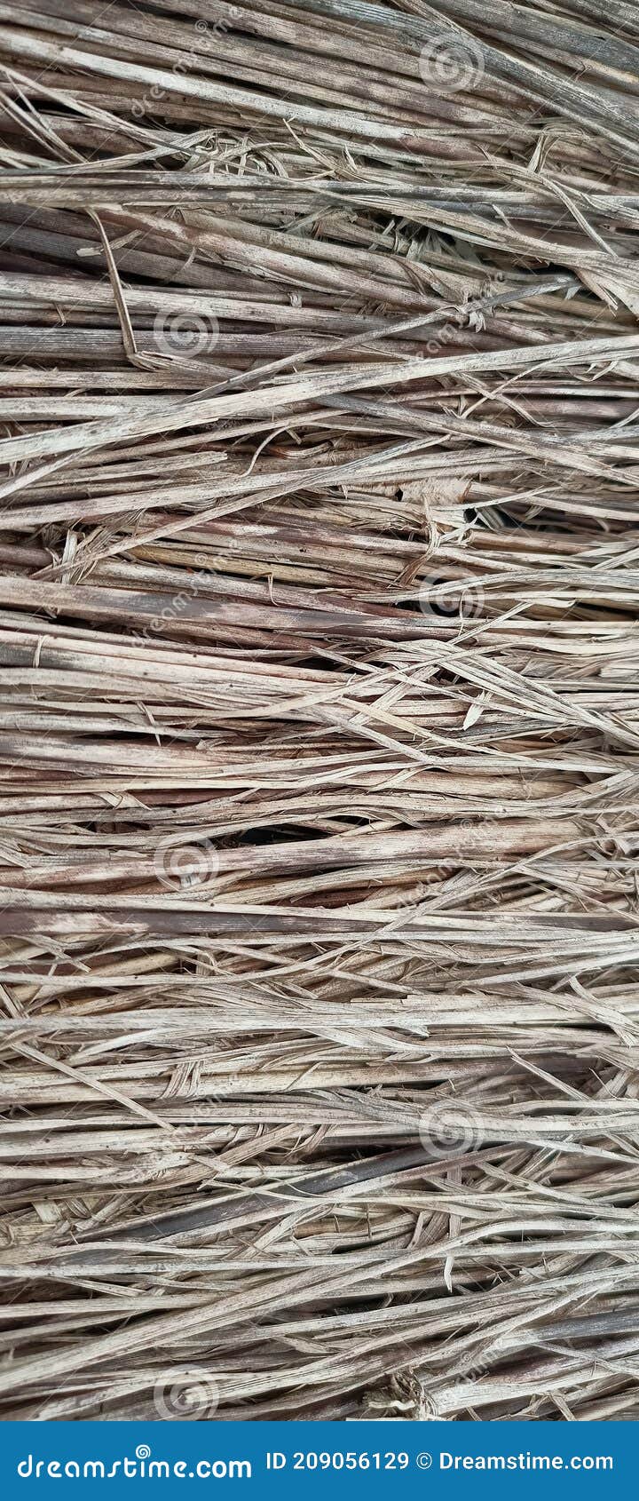 Details of the Roof of the House Made of Thatch Stock Image - Image of ...