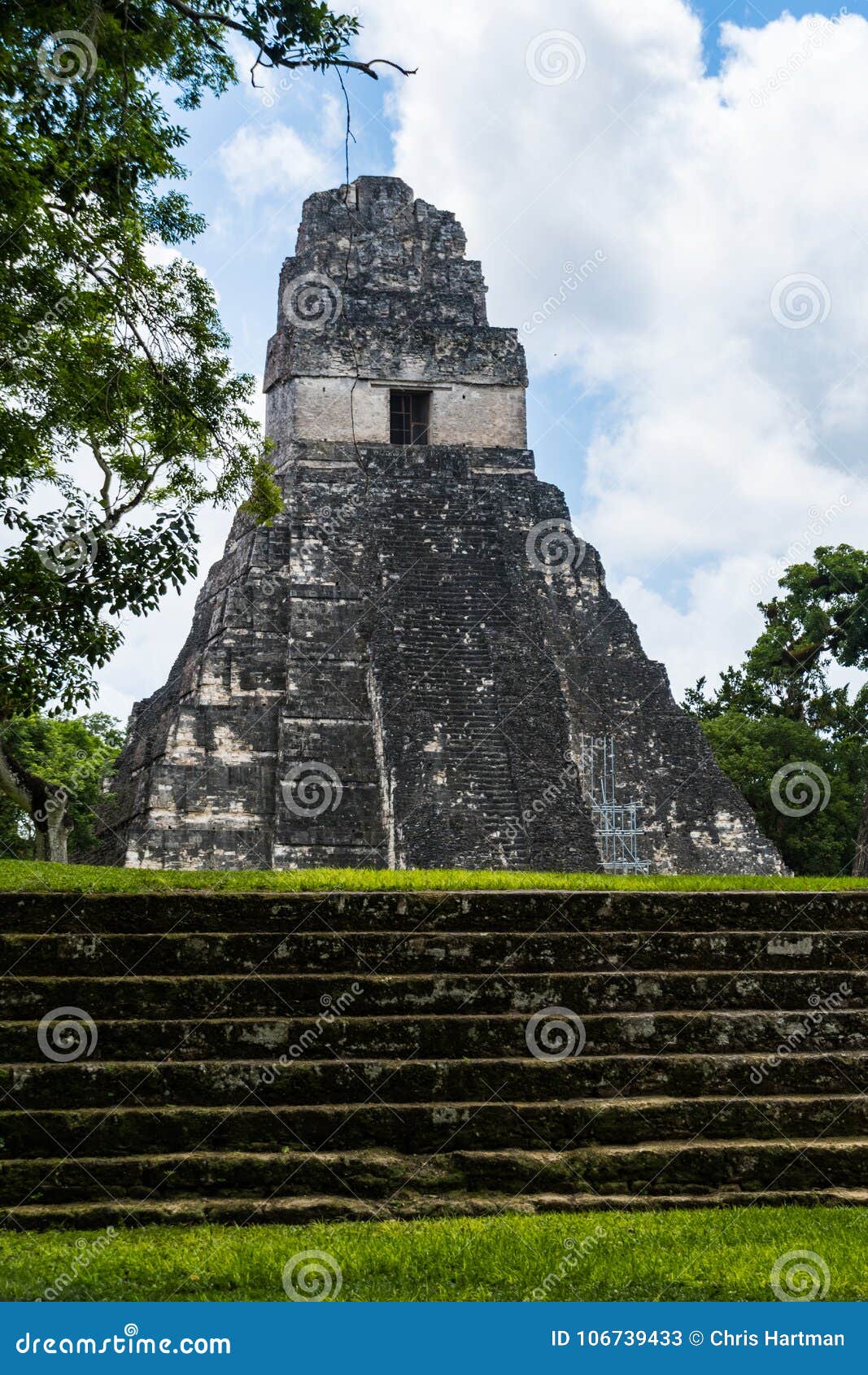 Details Of The Ruins Of Tikal Royalty-Free Stock Photo | CartoonDealer ...