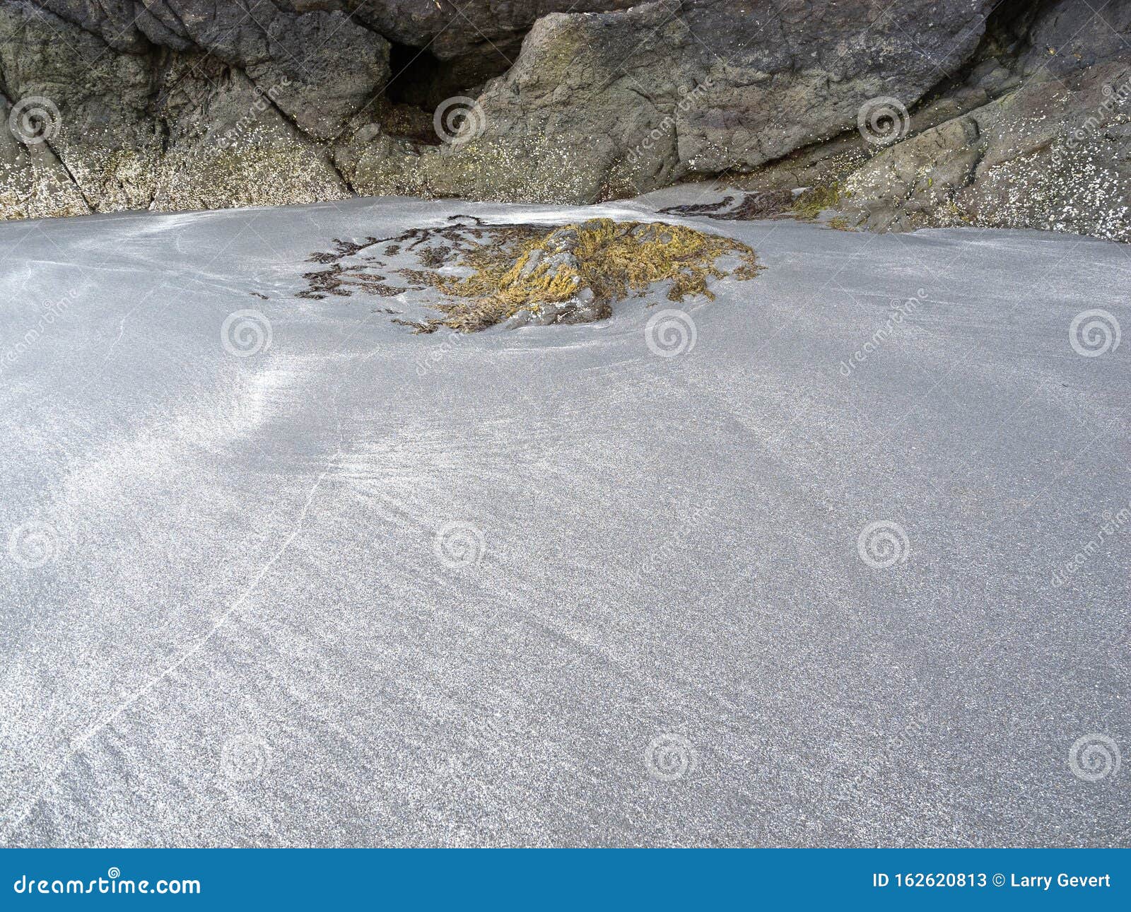Beach sand details stock image. Image of beach, landscape - 162620813