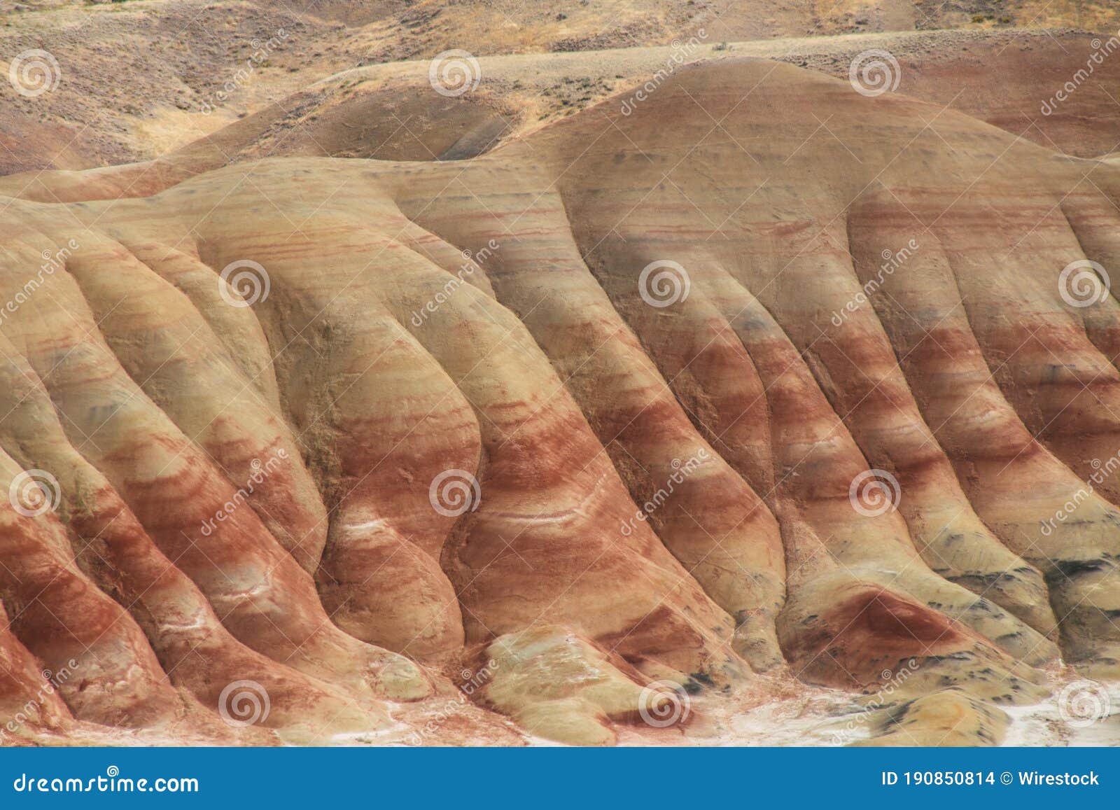 379 Sedimentary Patterns Photos - Free & Royalty-Free Stock Photos from ...