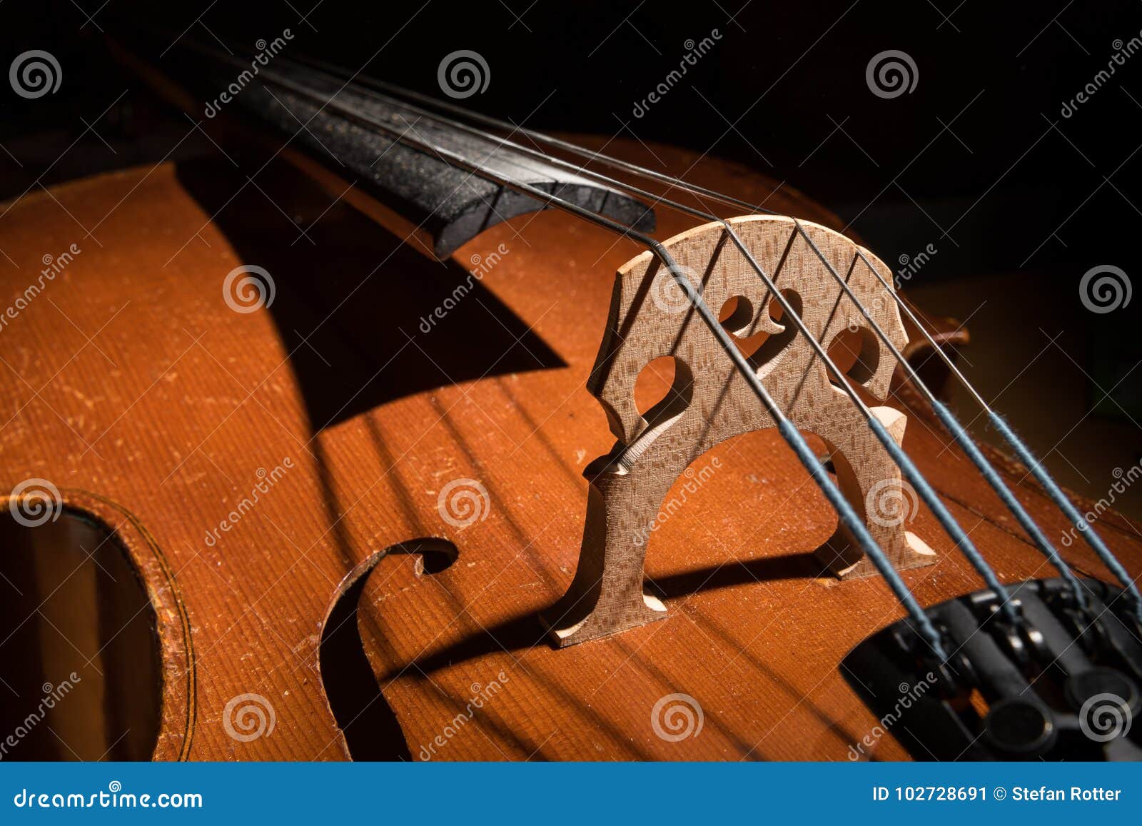 Details of a Small Cello Strings and Body Stock Image - Image of ...