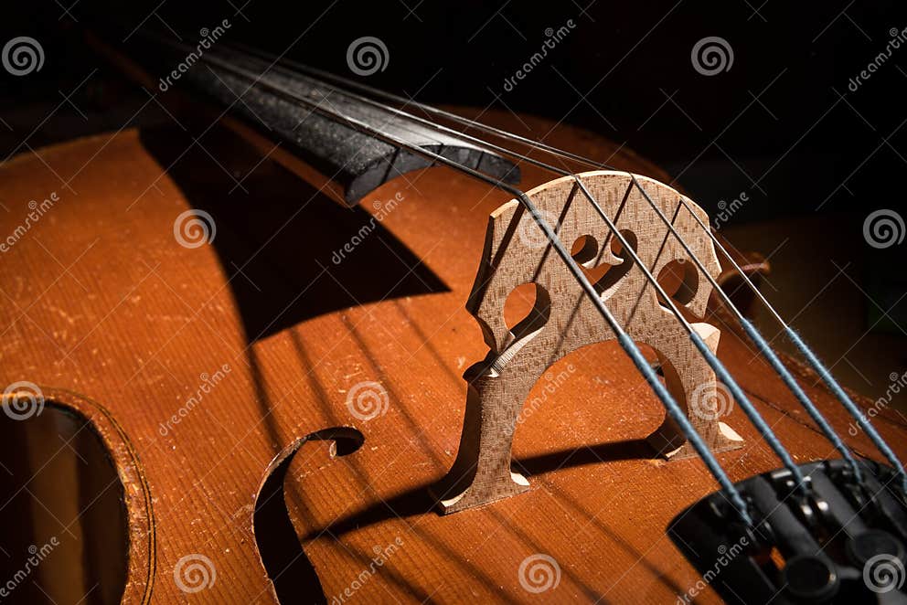 Details of a Small Cello Strings and Body Stock Image - Image of ...