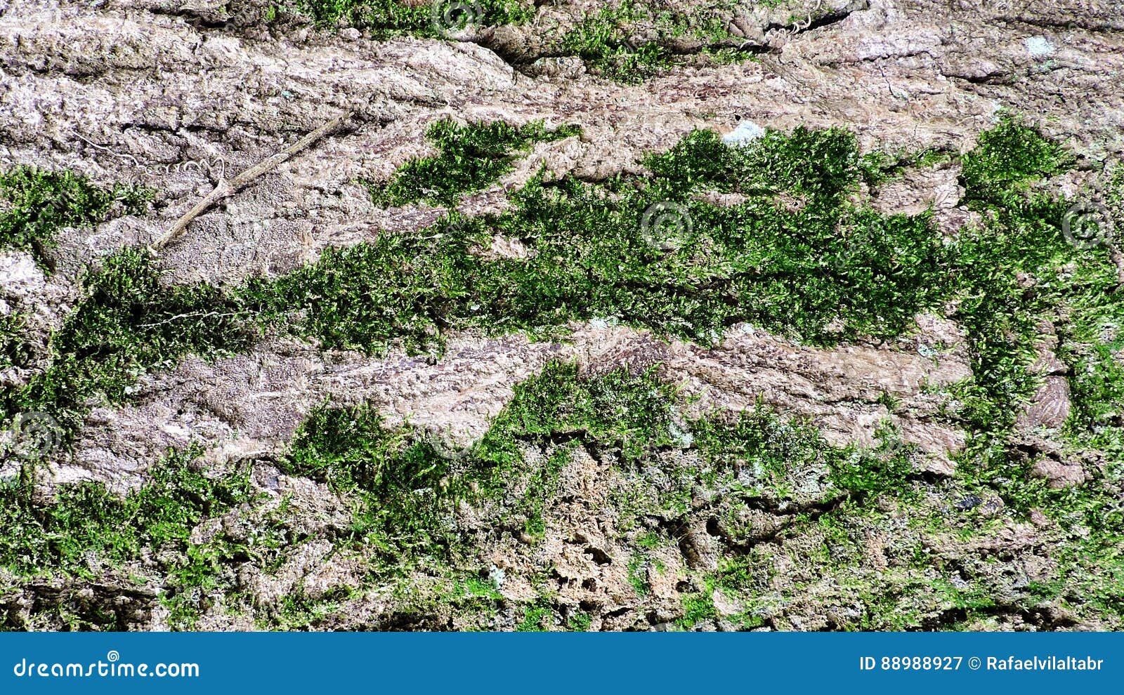 Details of a Solid Rustic Structure Exposed To the Climate. Background ...