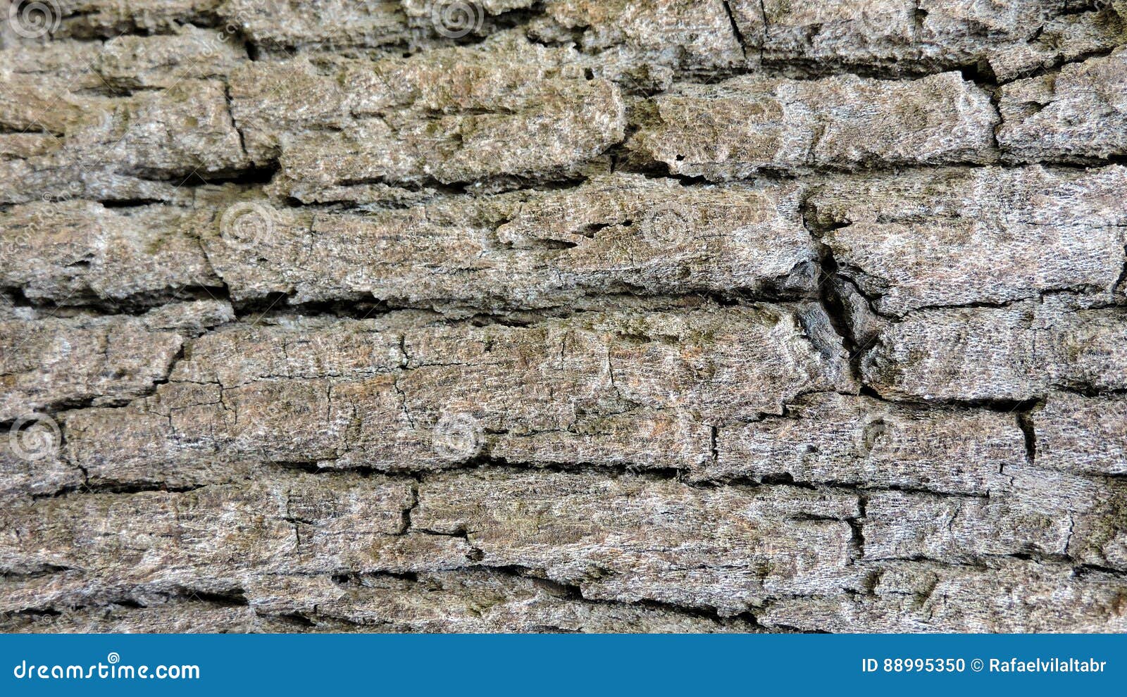 Details of a Solid Rustic Structure Exposed To the Climate. Background ...