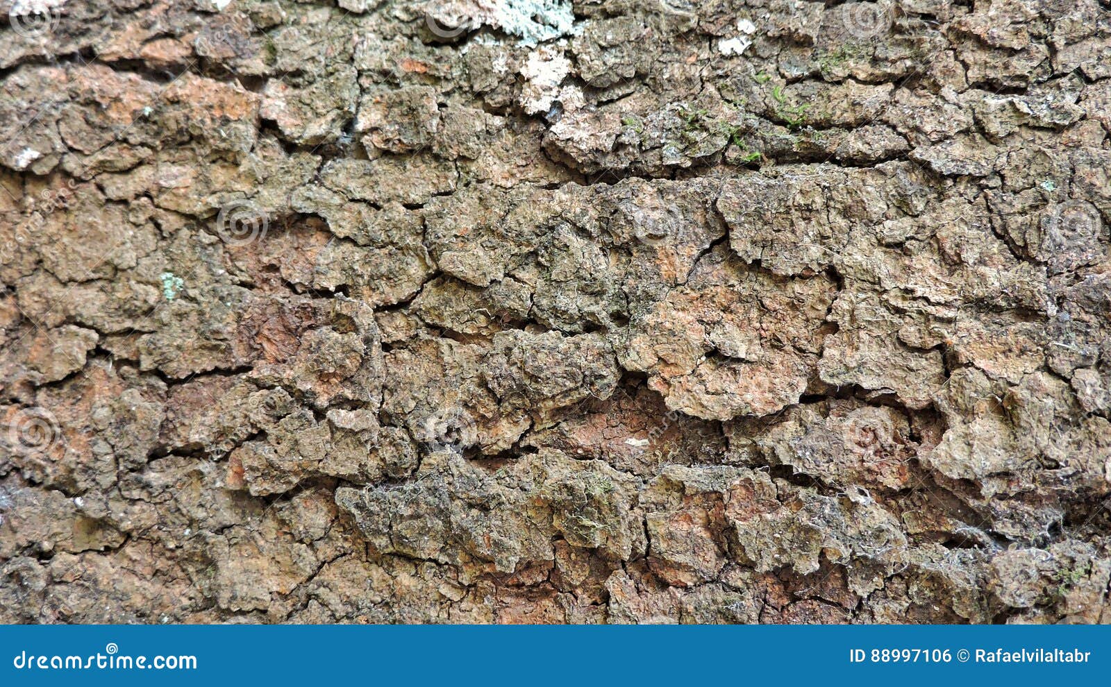 Details of a Solid Rustic Structure Exposed To the Climate. Background ...