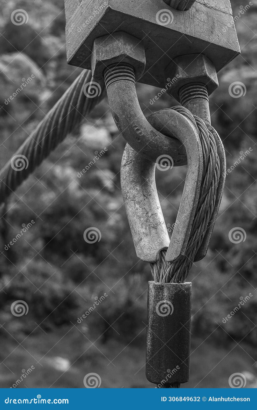 Details of the Steel Cable and D Ring on a Suspension Bridge Stock ...