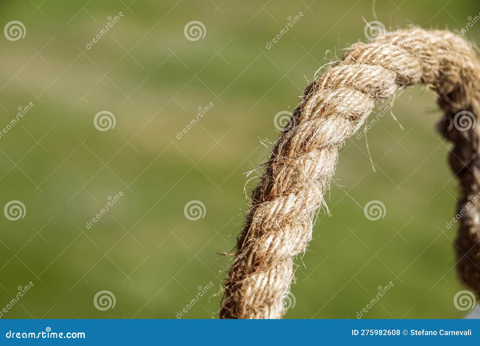 Details Straw Rope Knot on Green Background Stock Photo - Image of rope ...