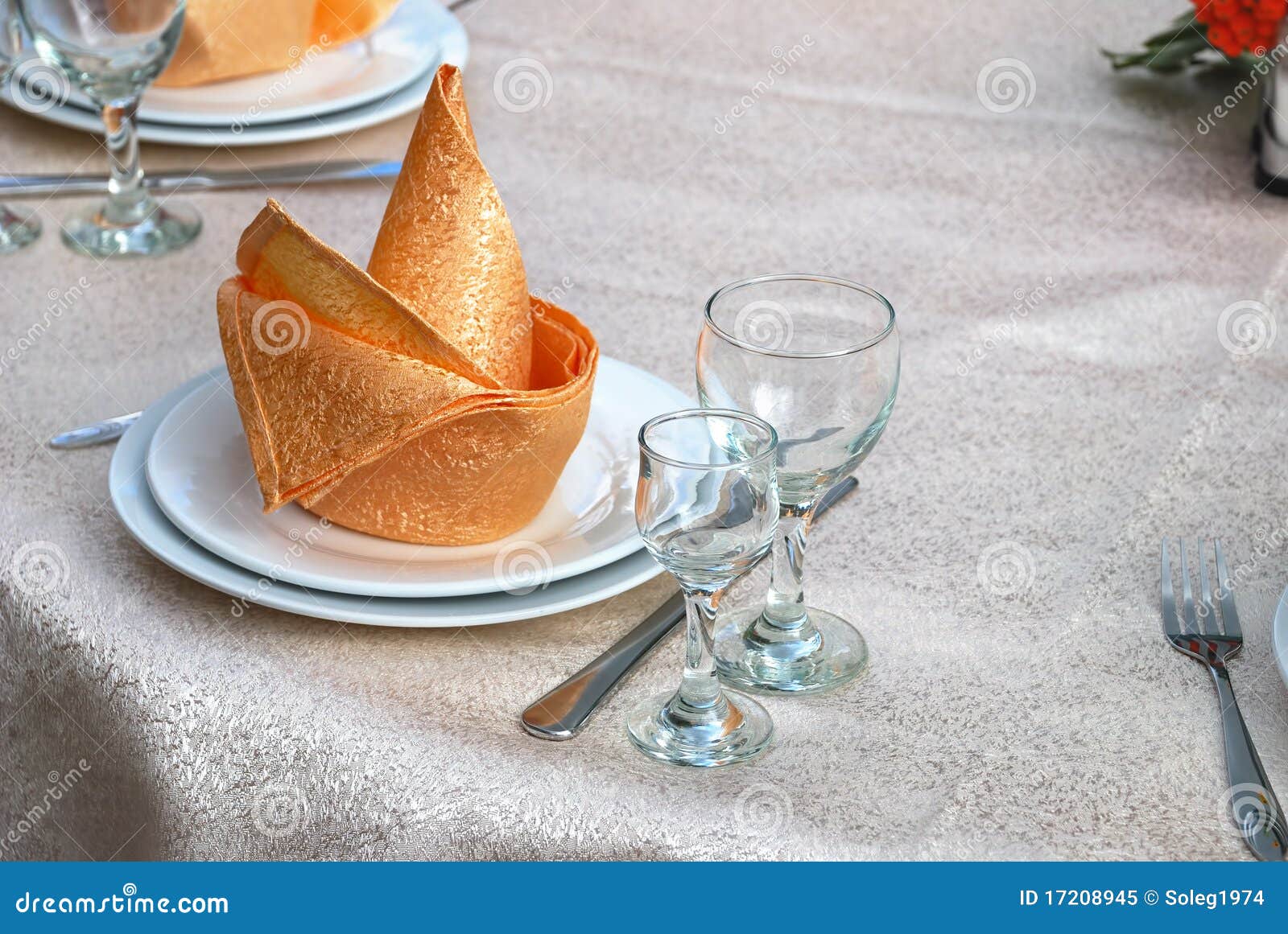 Details of a Table Set for Fine Dining Stock Image - Image of fancy ...