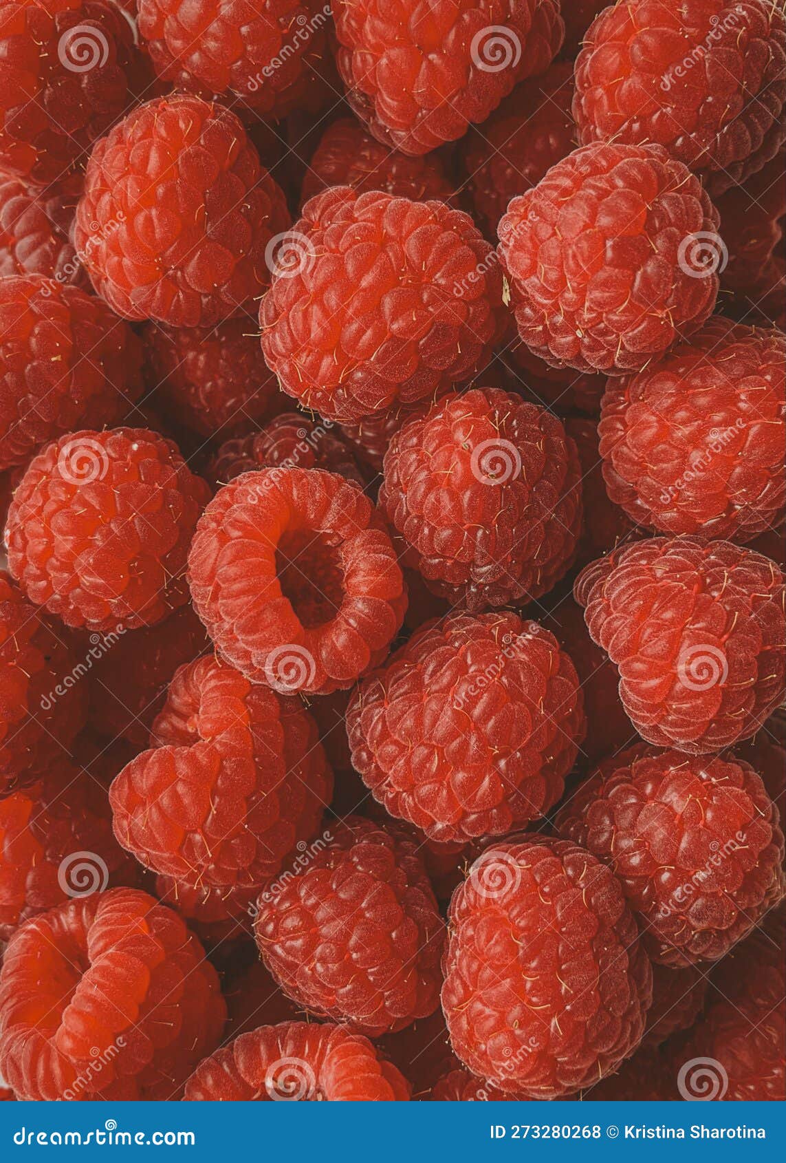 Details and Texture of Raspberries Stock Photo - Image of growing, food ...
