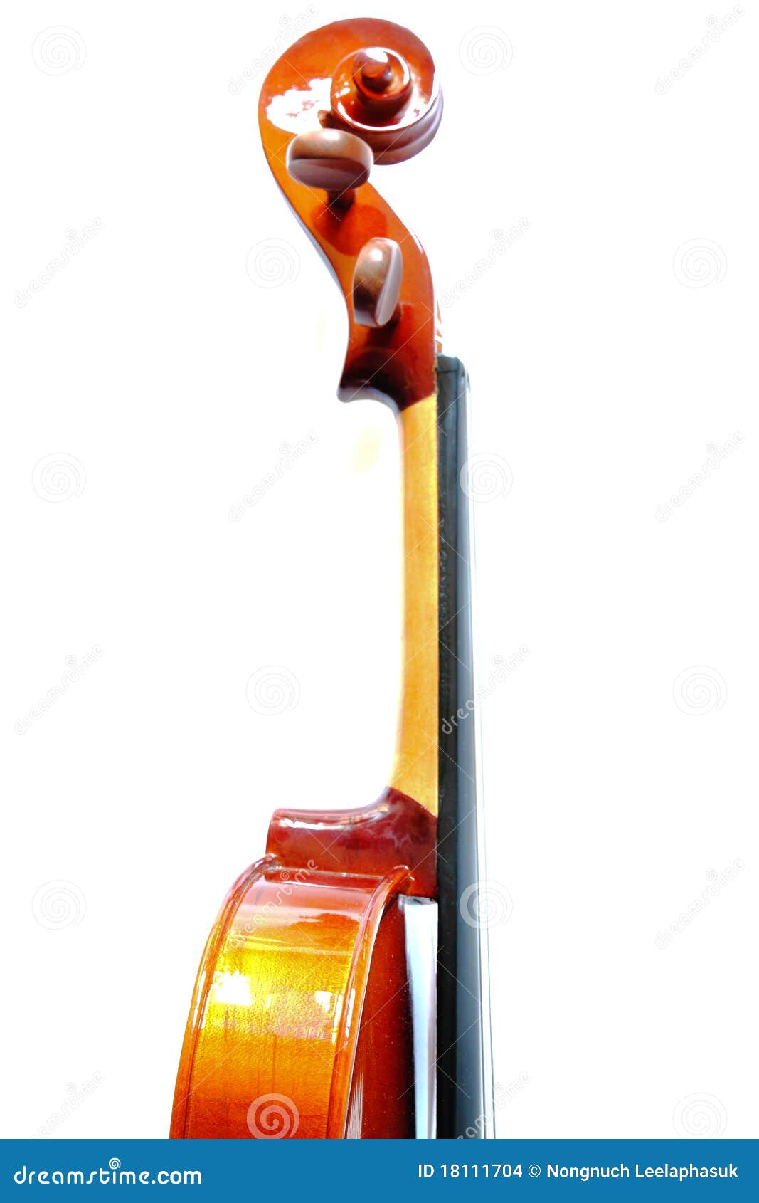 Details Of Violin Head Stock Photography | CartoonDealer.com #18111704
