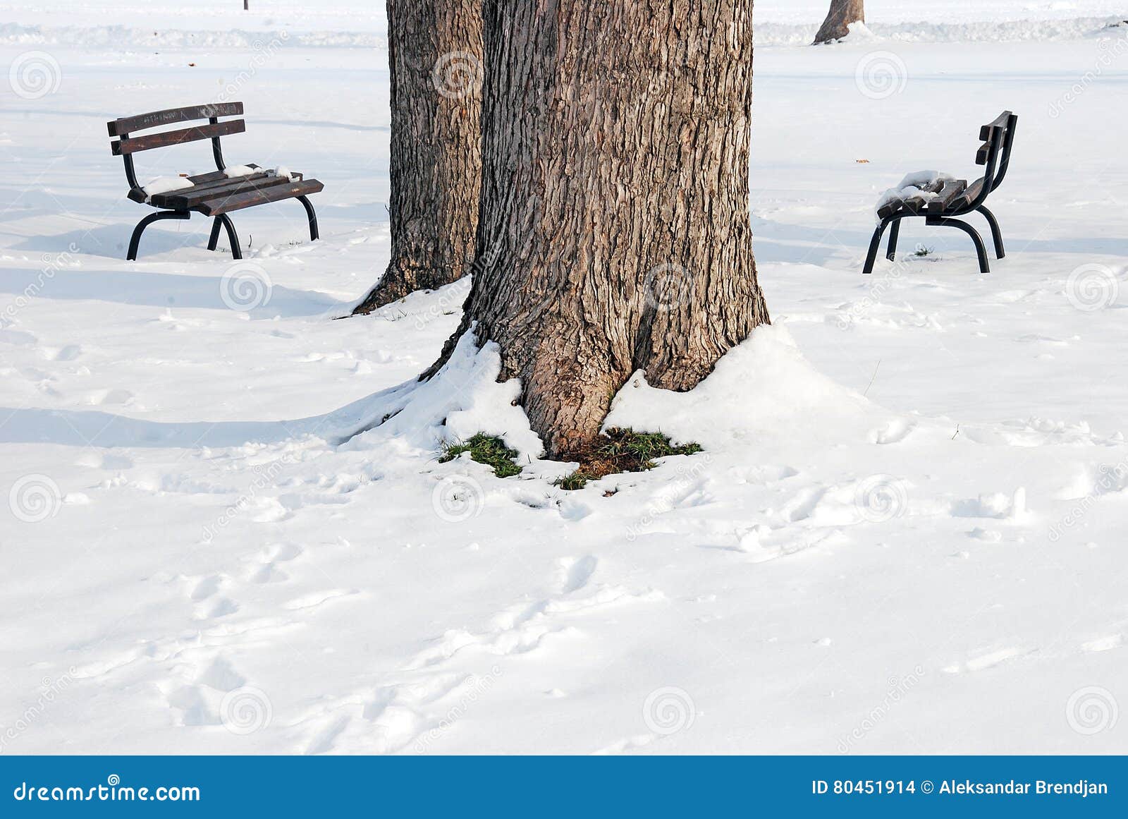 The Details Winter Landscape with Two Benches Stock Photo - Image of ...