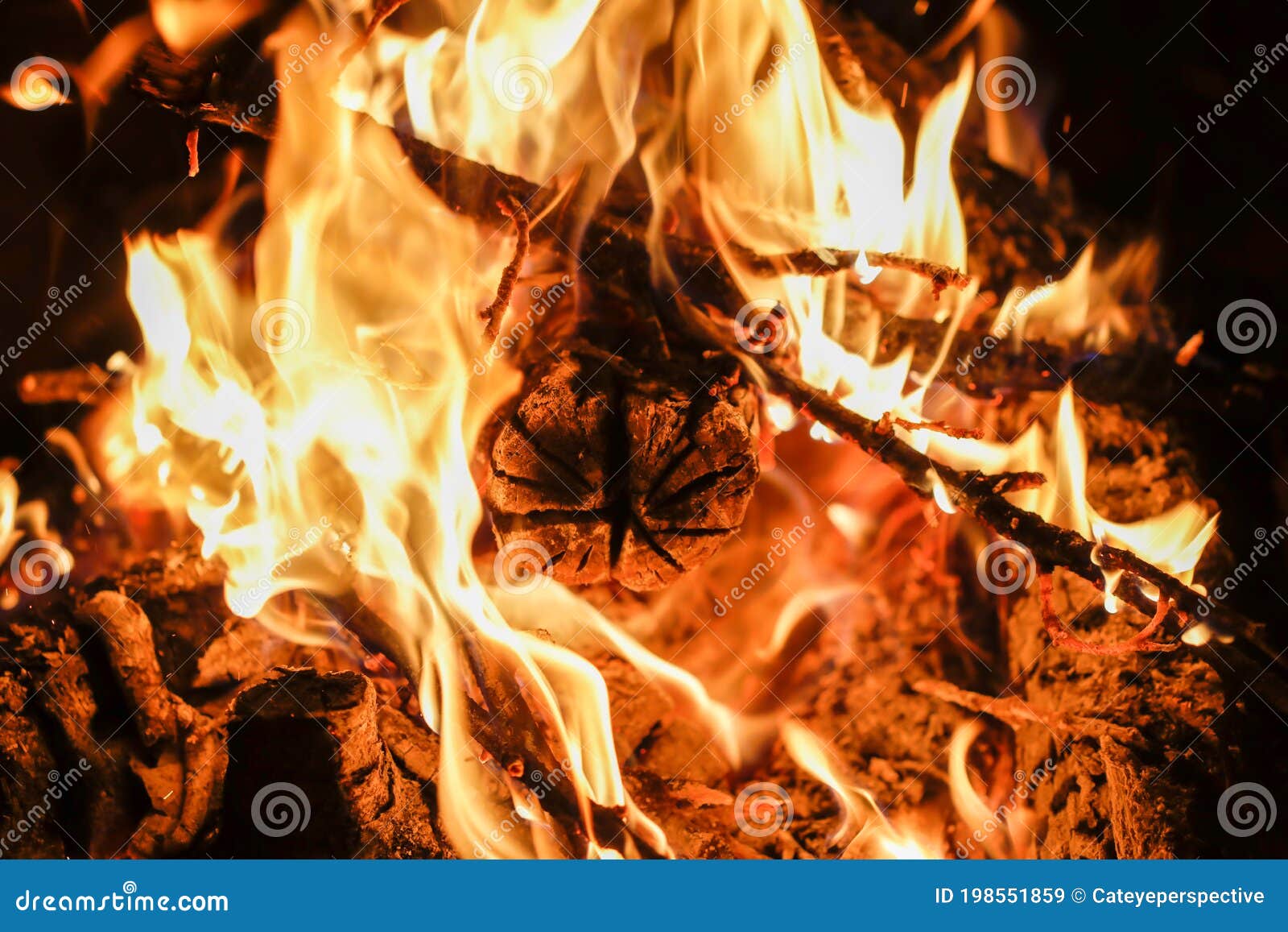 Details of a Wood Fire in a Red Brick Fireplace Dug in the Ground Stock ...