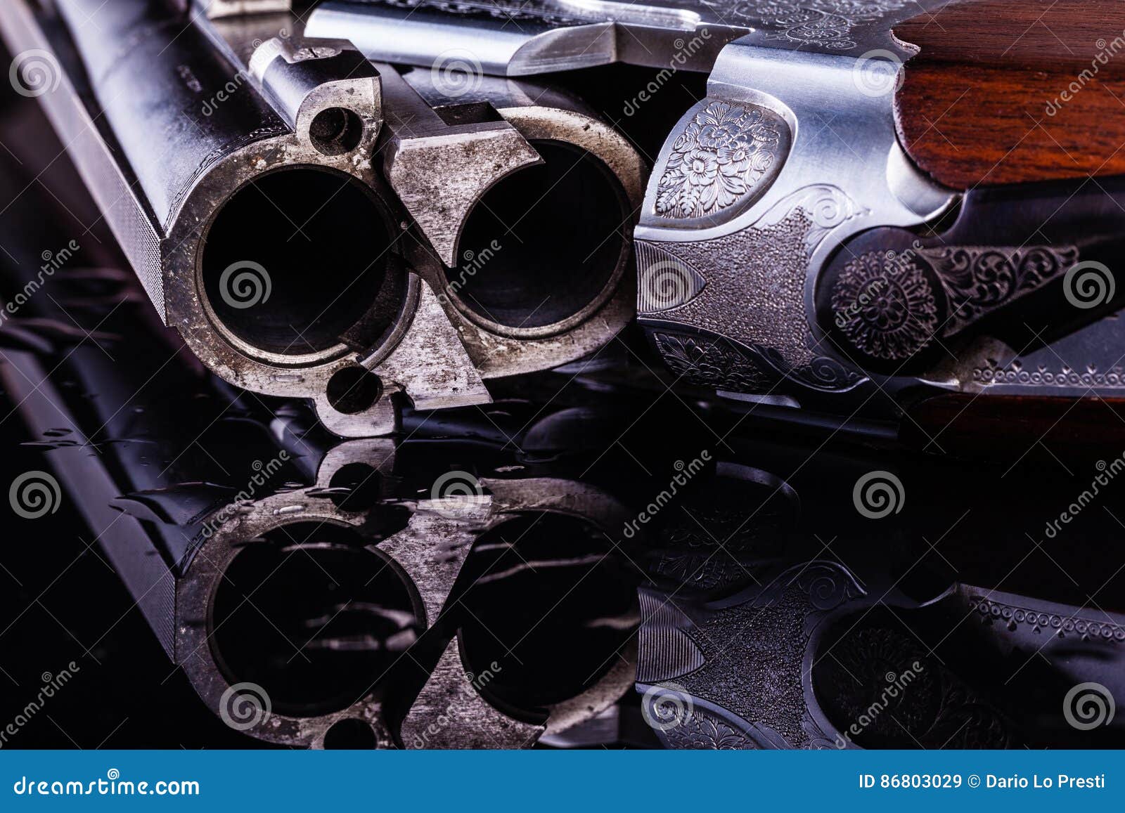 Detalhe Da Culatra Da Espingarda Na Superfície Molhada Imagem de Stock ...