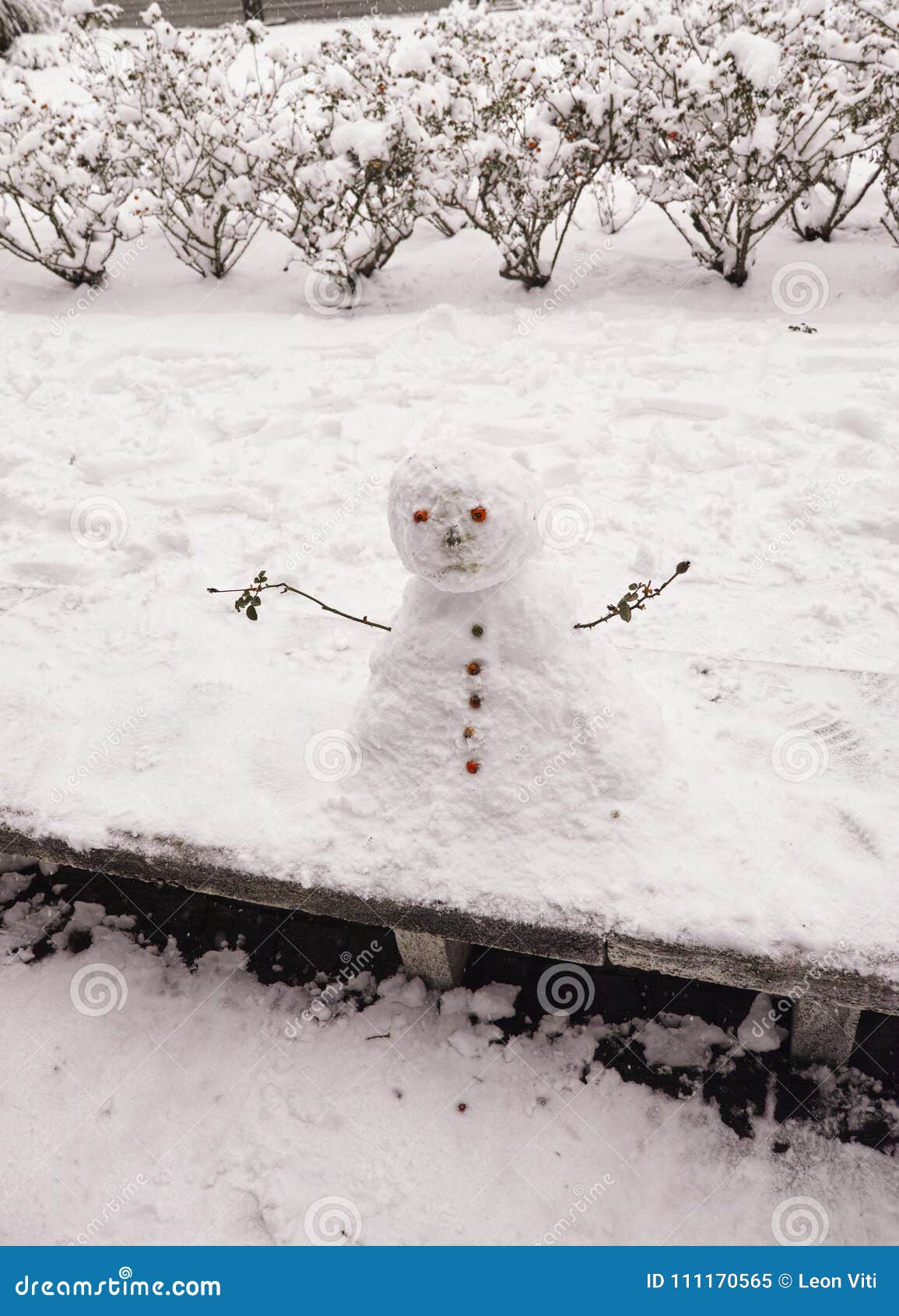 Detalhe De Um Homem Da Neve Imagem de Stock - Imagem de figurino ...