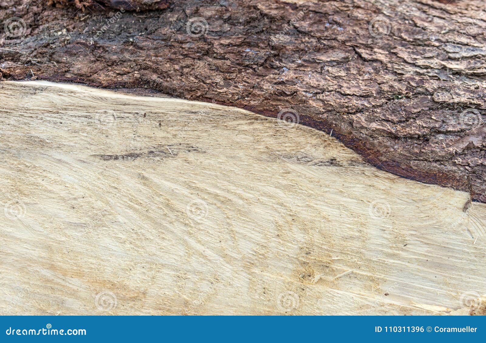 Detalle De Un Pedazo De Madera Foto de archivo - Imagen de madera ...