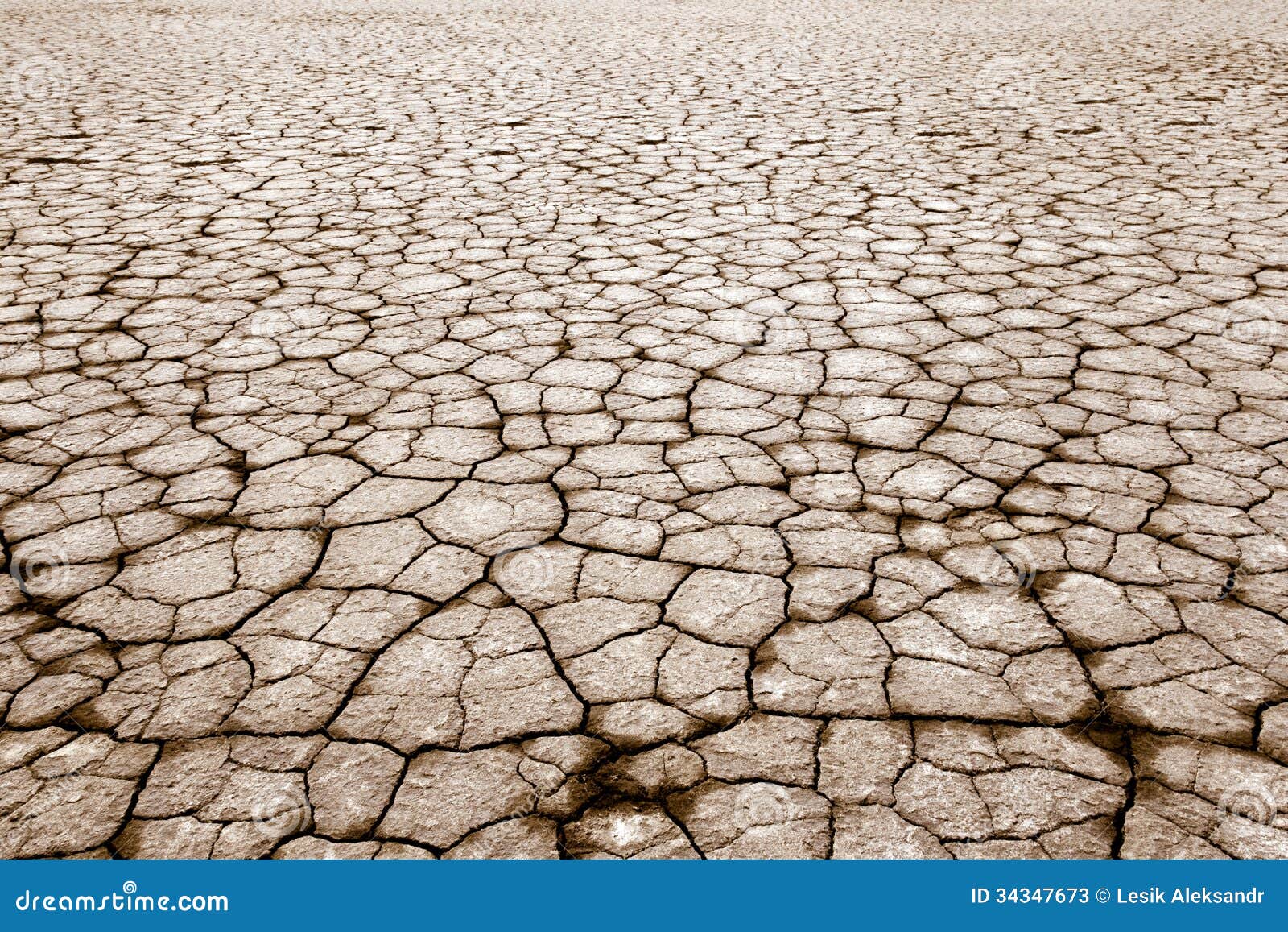 Detalle De Una Tierra Agrietada Imagen de archivo - Imagen de pista ...