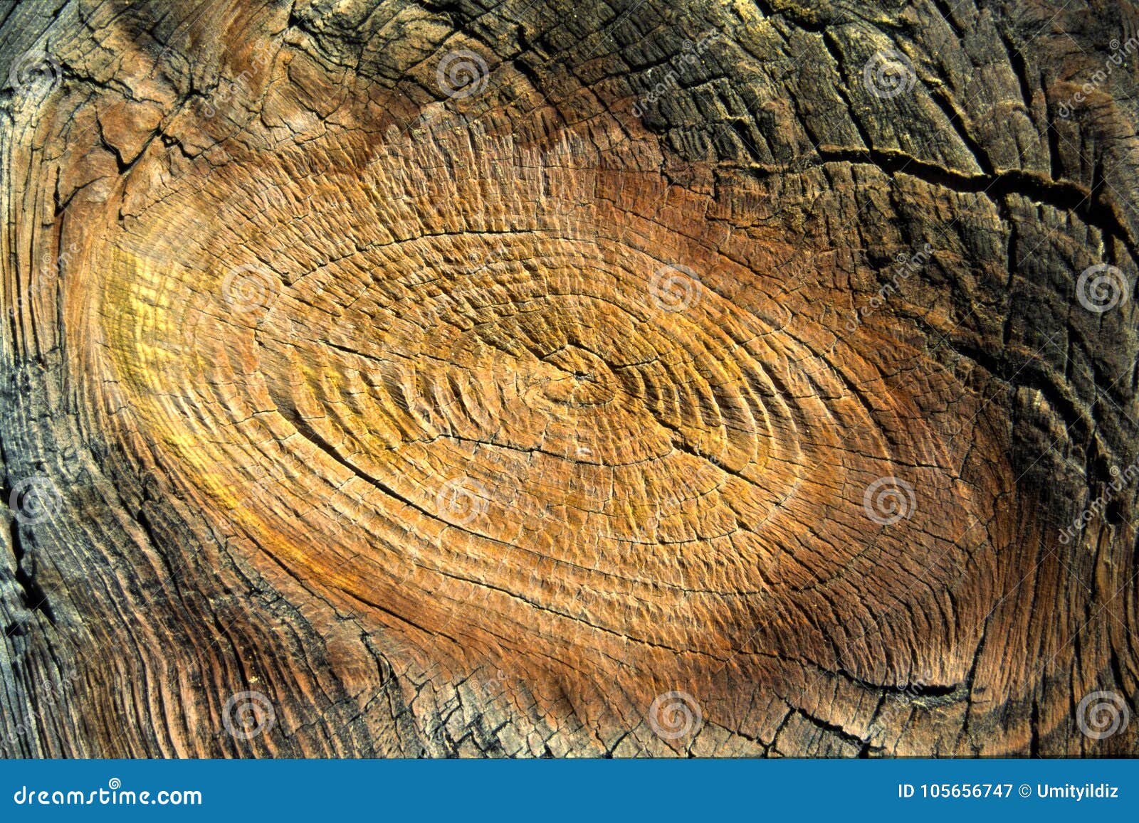 Detalle del knothole imagen de archivo. Imagen de modelo - 105656747