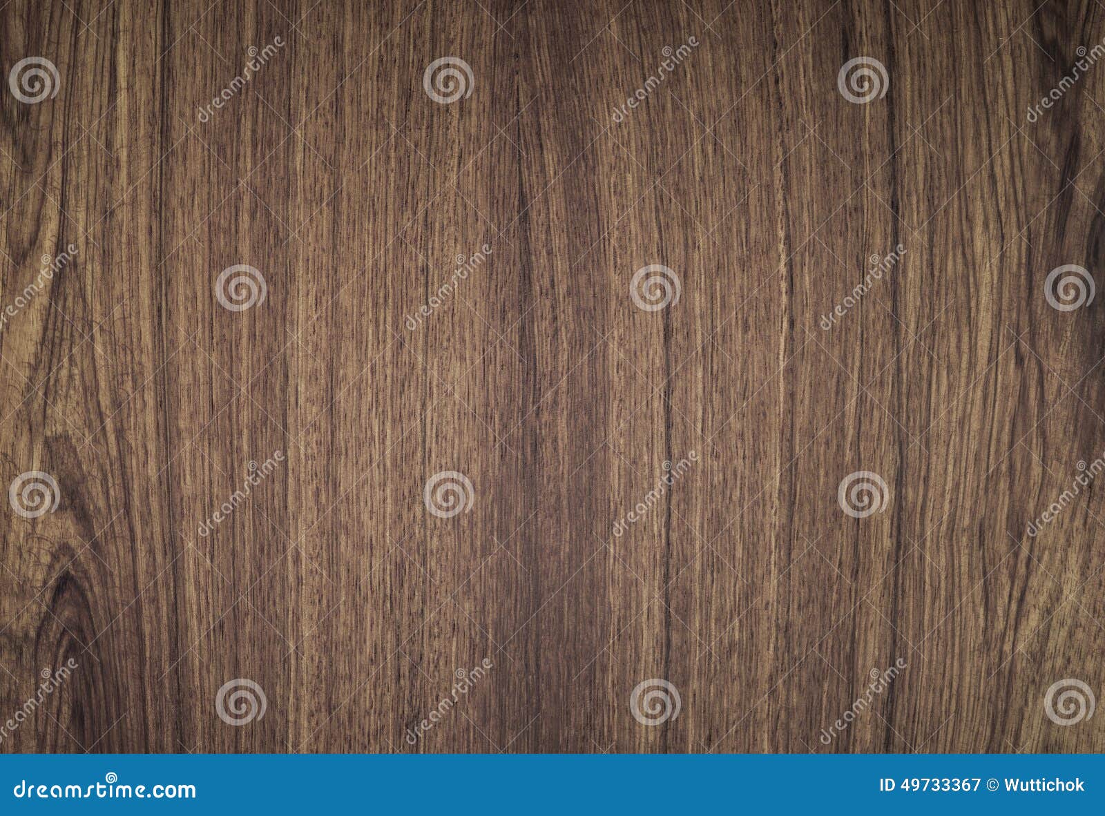 Detalle Del Modelo De La Textura De Madera De La Teca Imagen de archivo ...