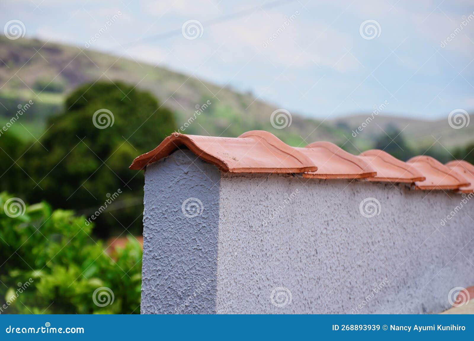 Detalles De Los Techos En La Pared De La Casa Imagen de archivo ...