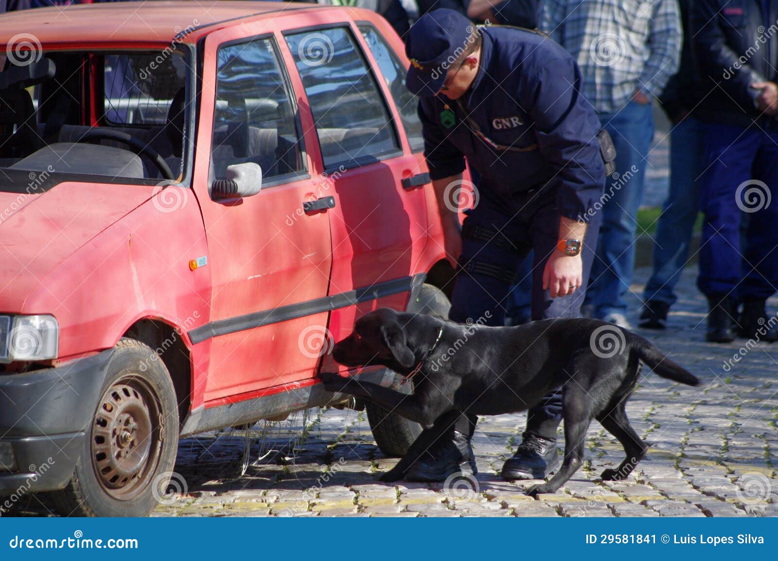 Explosives Detection dog editorial photo. Image of explosives - 29581841