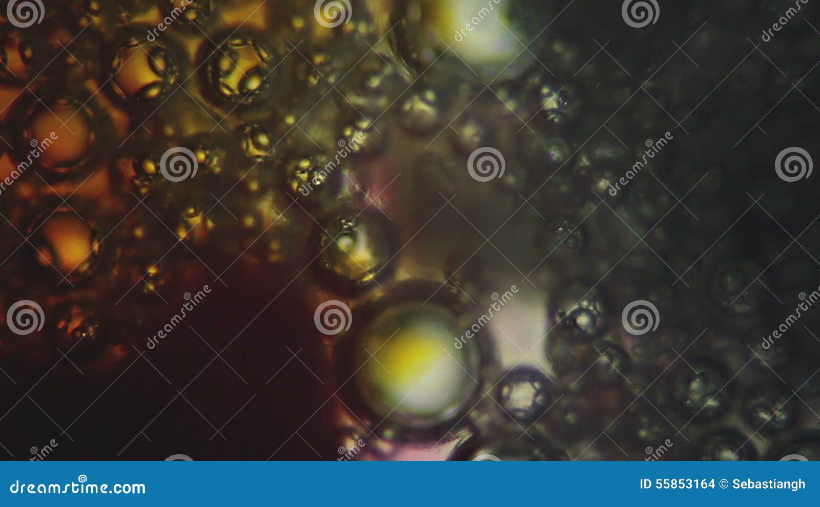 Detergent under microscope stock footage. Video of background - 55853164