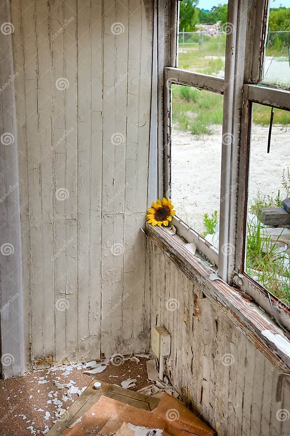 Deteriorating Building stock image. Image of dirt, architecture - 24218641