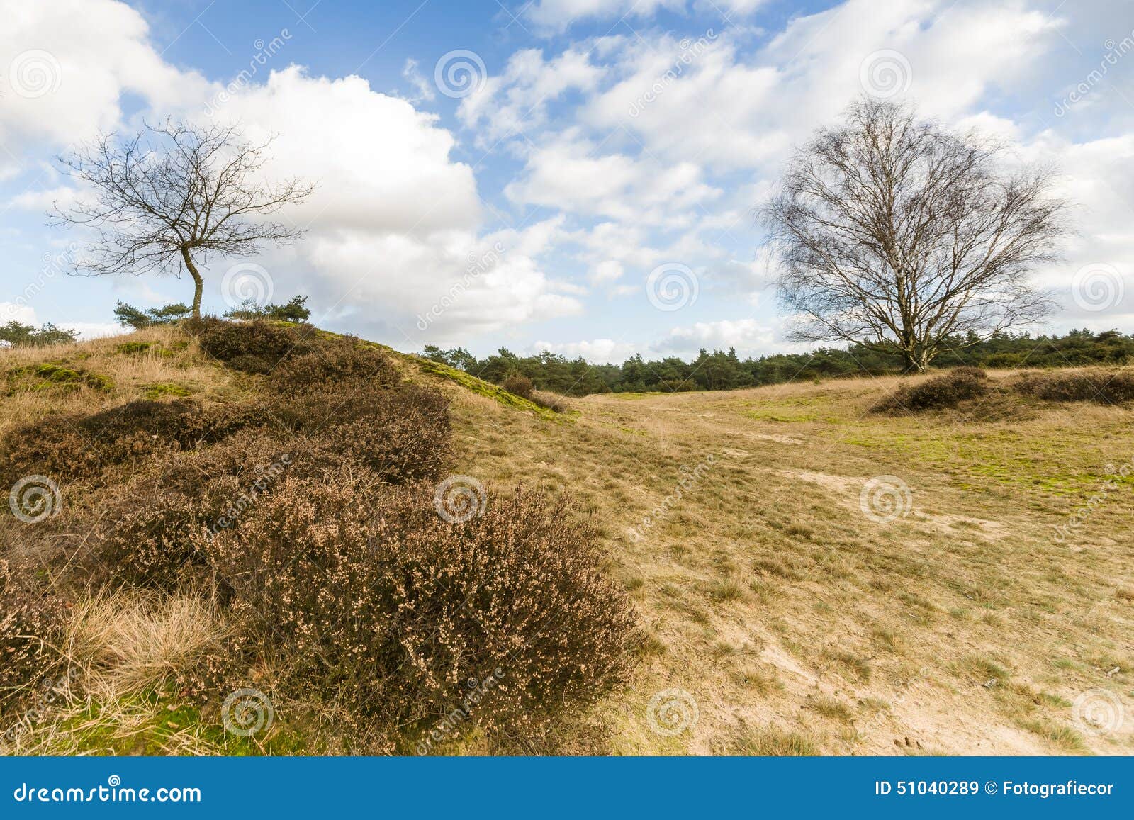 Deteriorating Weather Over Nature in Spring Stock Image - Image of ...