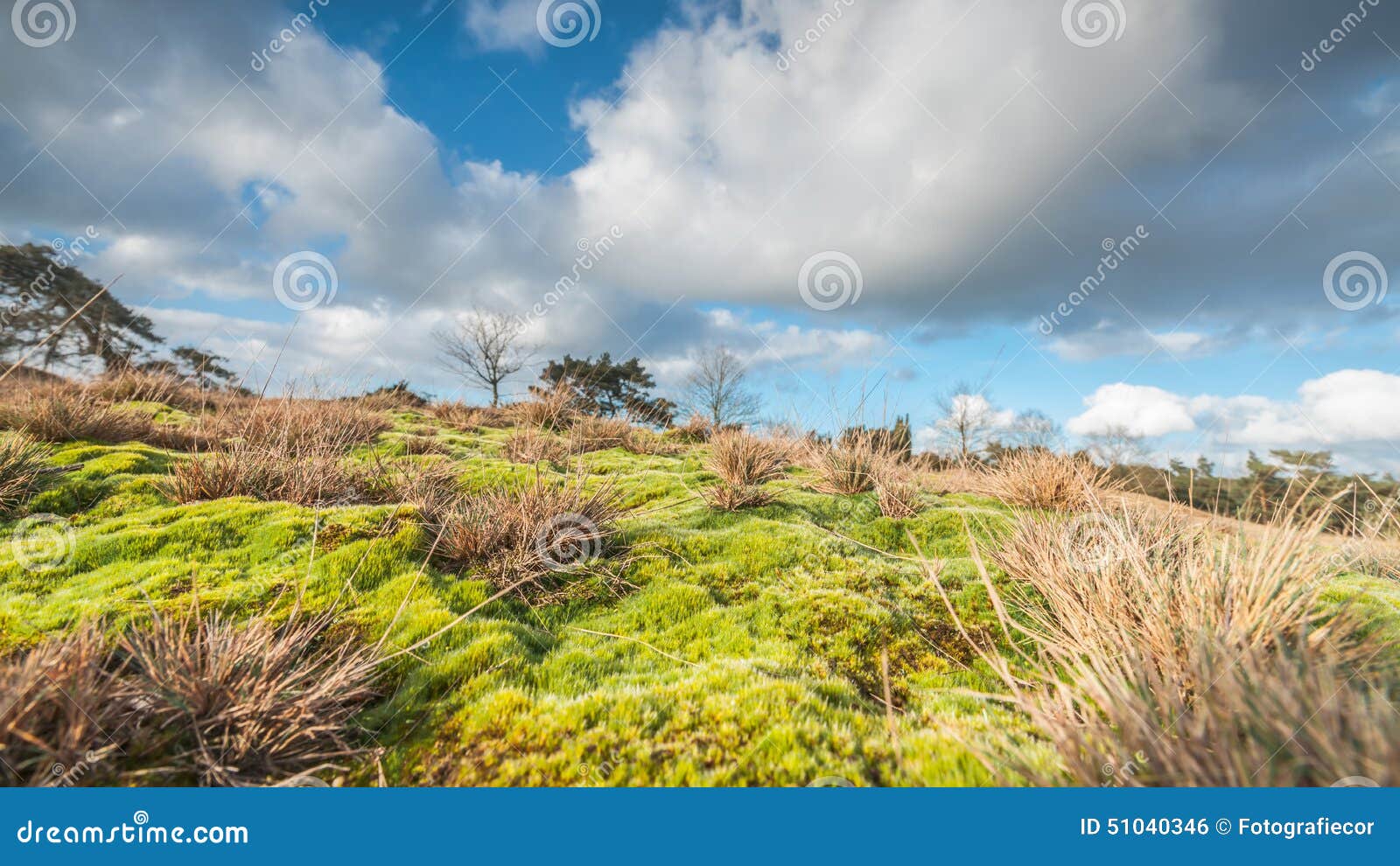 Deteriorating Weather Over Nature in Spring Stock Photo - Image of grey ...