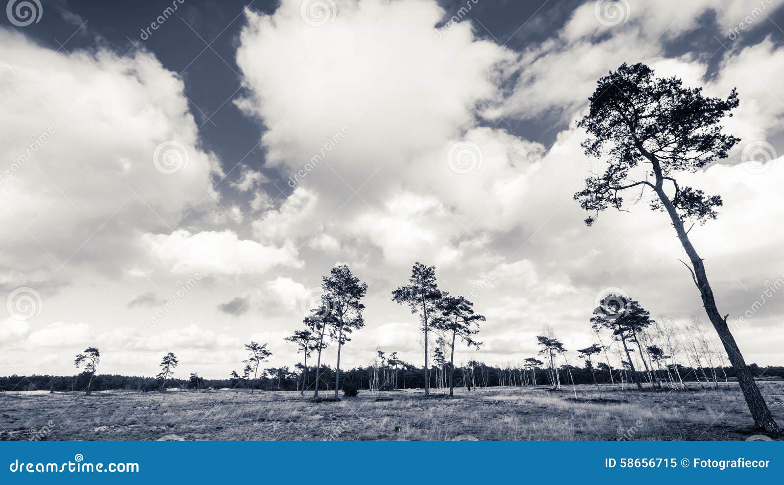 Deteriorating Weather Over Nature in Spring Stock Image - Image of bleu ...