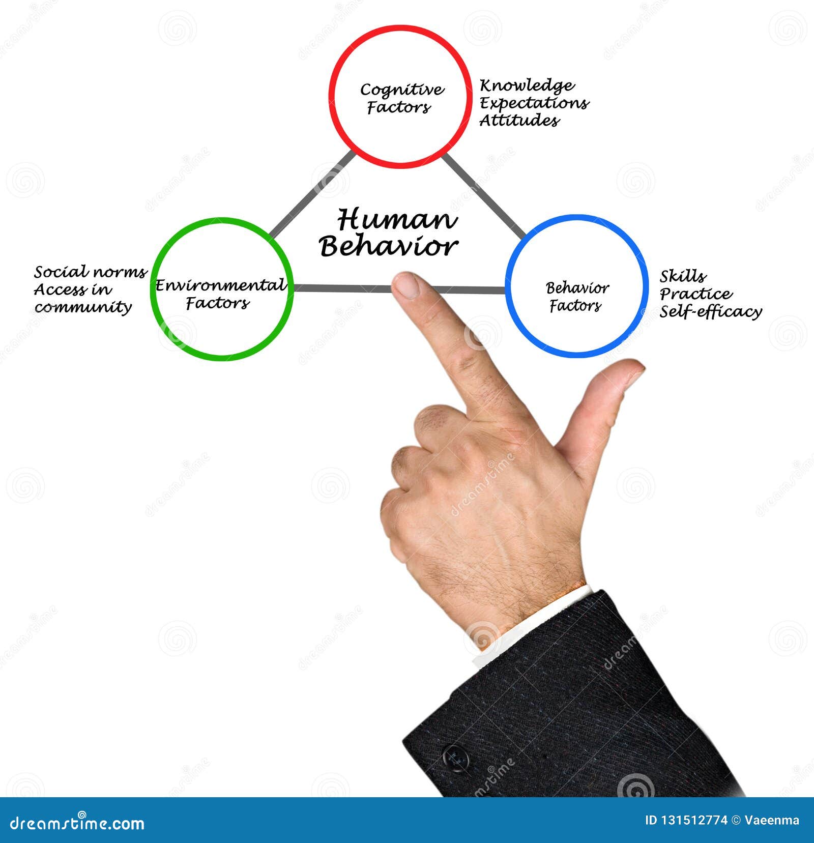 Determinantes De La Conducta Humana Foto de archivo - Imagen de virtual ...