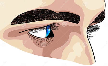 Determined face and eyes. stock illustration. Illustration of dramatic ...