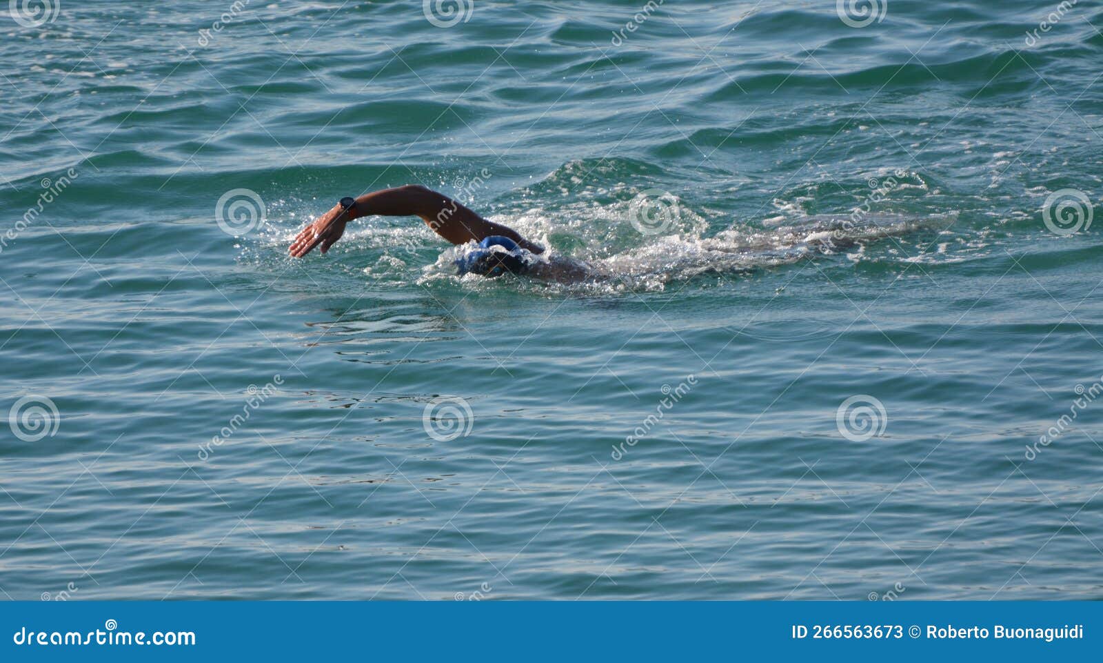 Swimin Stock Photos - Free & Royalty-Free Stock Photos from Dreamstime