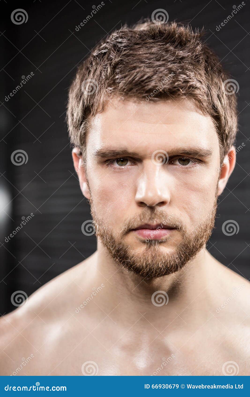 Determined Muscular Man Looking at the Camera Stock Image - Image of ...
