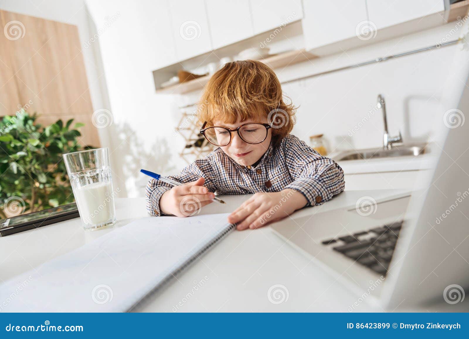 Determined Student Studying in the Kitchen Stock Image - Image of ...
